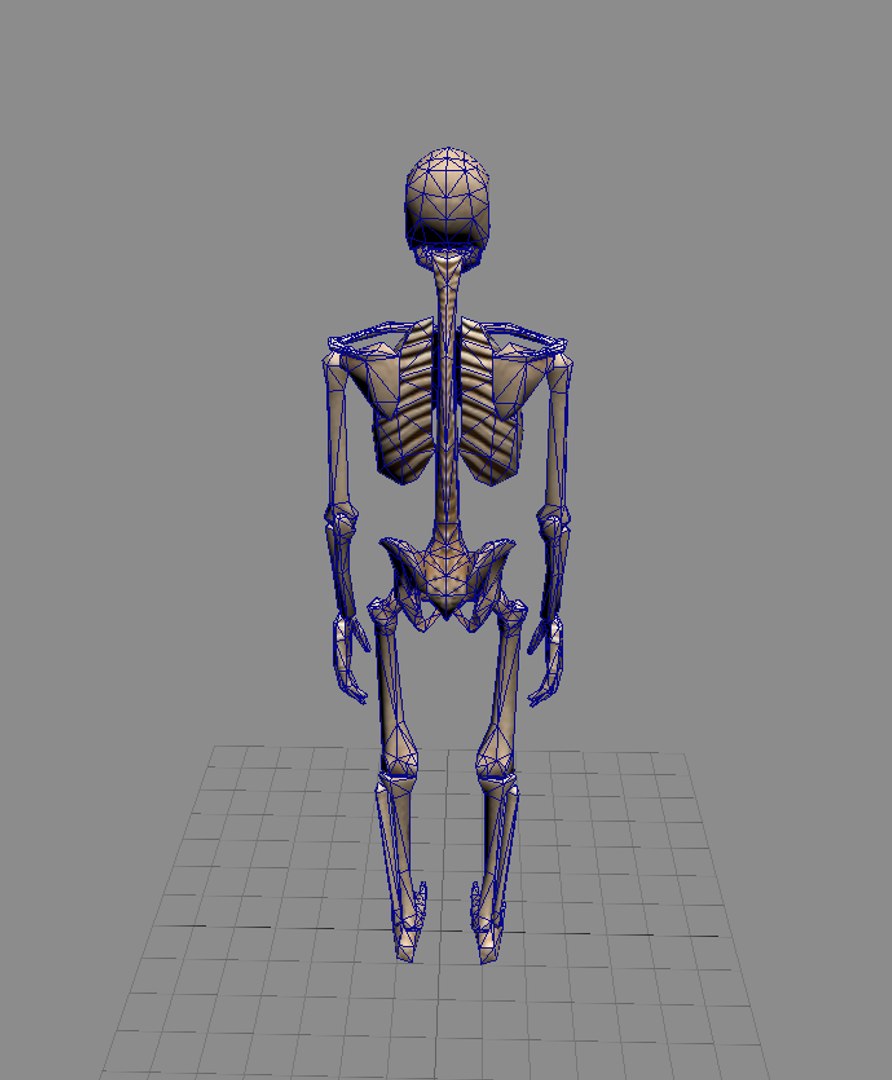 Skeleton Mobile Rigged 3D Model - TurboSquid 1453677