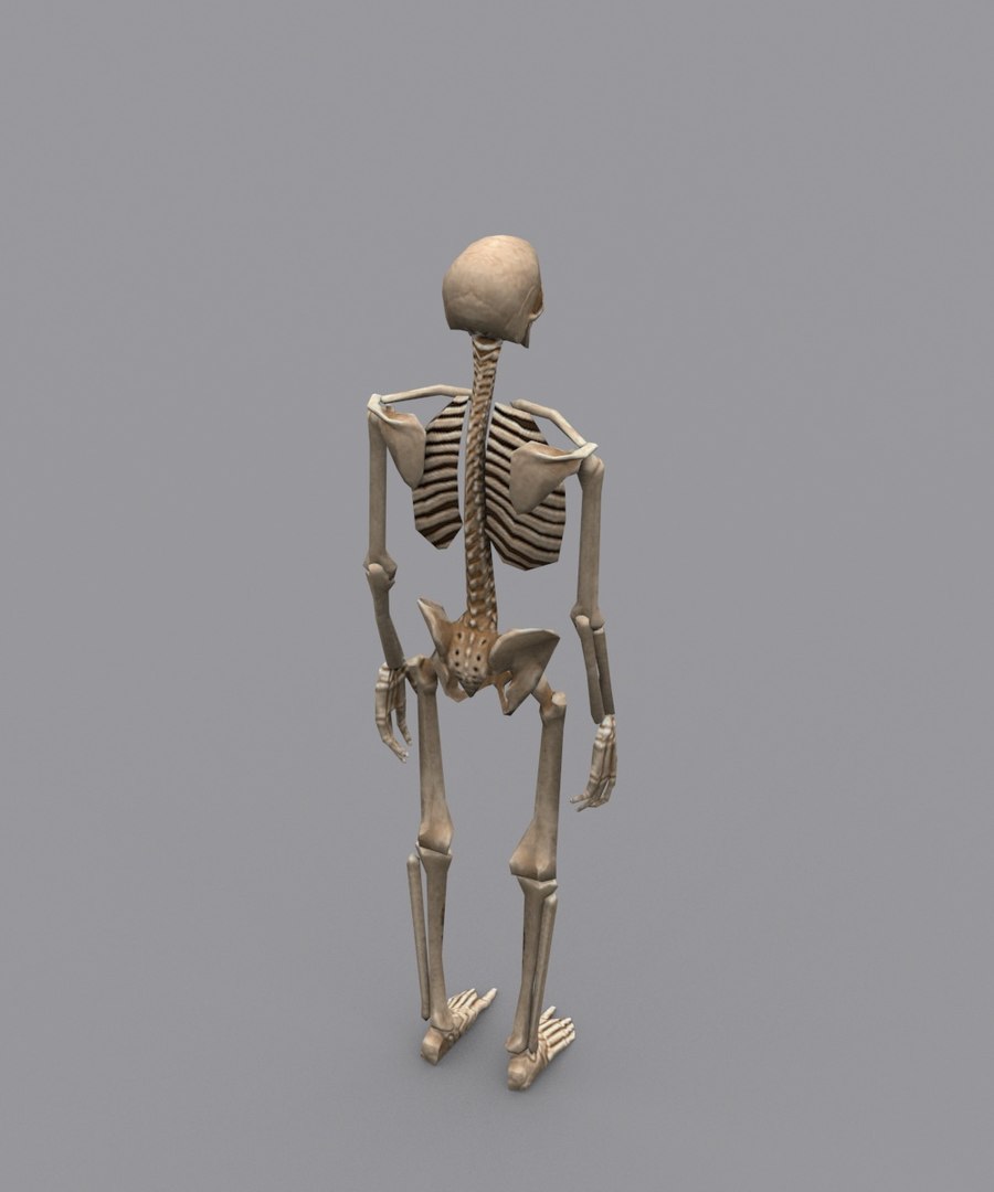 Skeleton Mobile Rigged 3D Model - TurboSquid 1453677