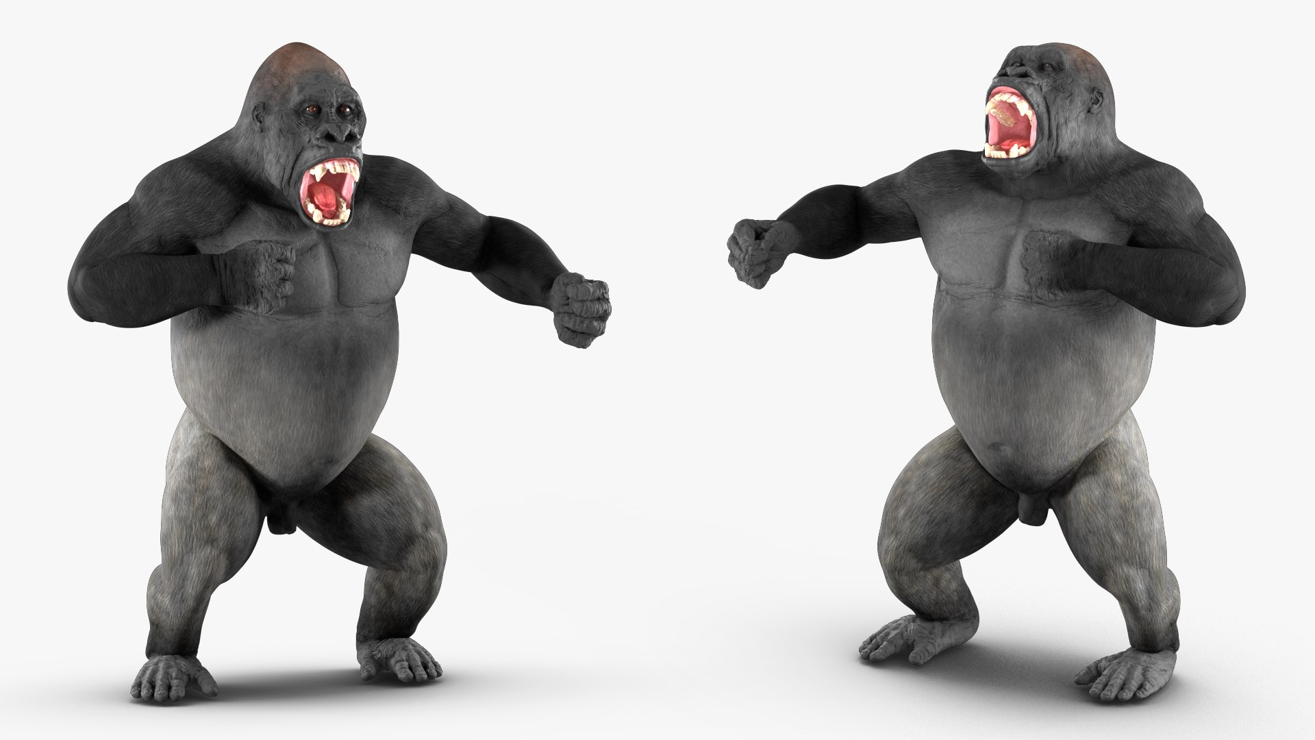 3D Roaring Gorilla Animated Rigged - TurboSquid 2295576