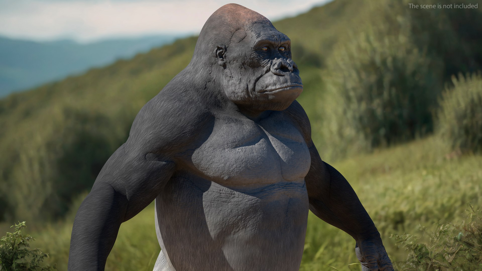 3D Roaring Gorilla Animated Rigged - TurboSquid 2295576