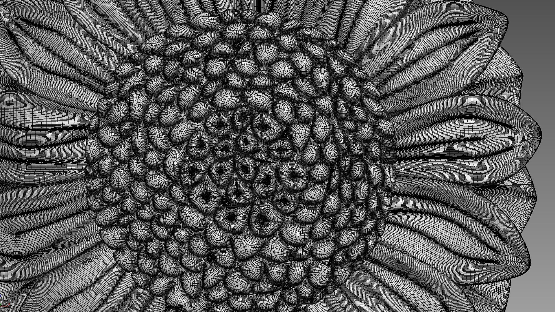3D Sunflower Bas-relief Model - TurboSquid 2108972