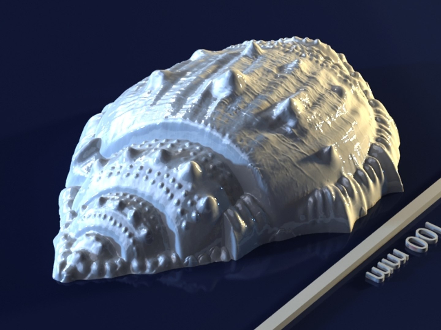 Shell Mold Hand 3d Max