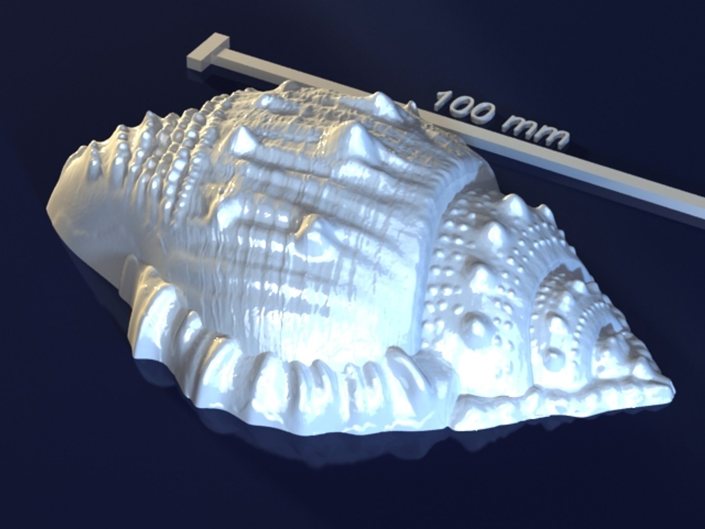 Shell Mold Hand 3d Max