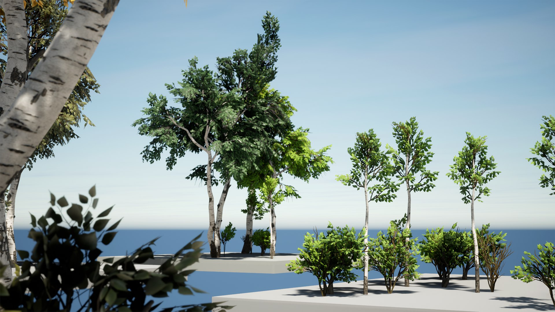 Birches Pack 3D Model - TurboSquid 1805567