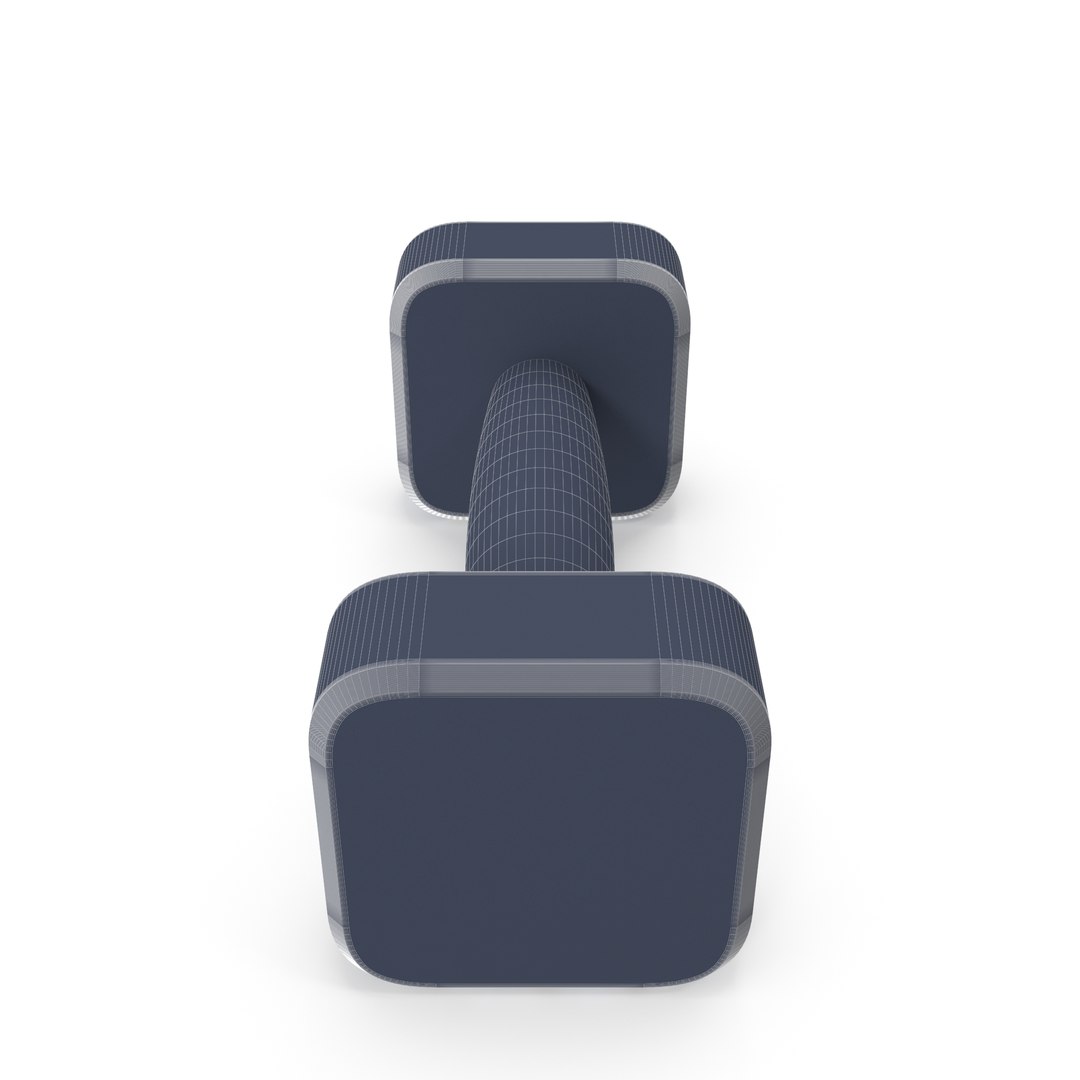 3D Dumbbell Model For Athletes And Artists Model - TurboSquid 2167522