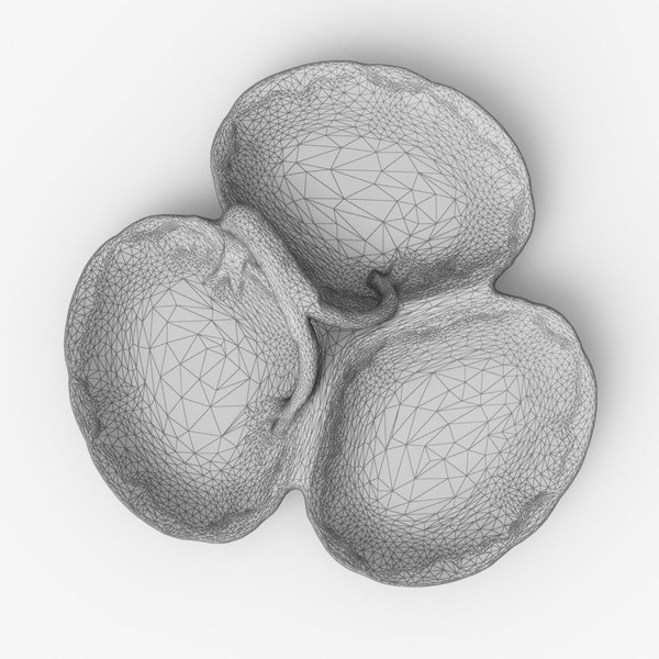 3d model of porcelain tray