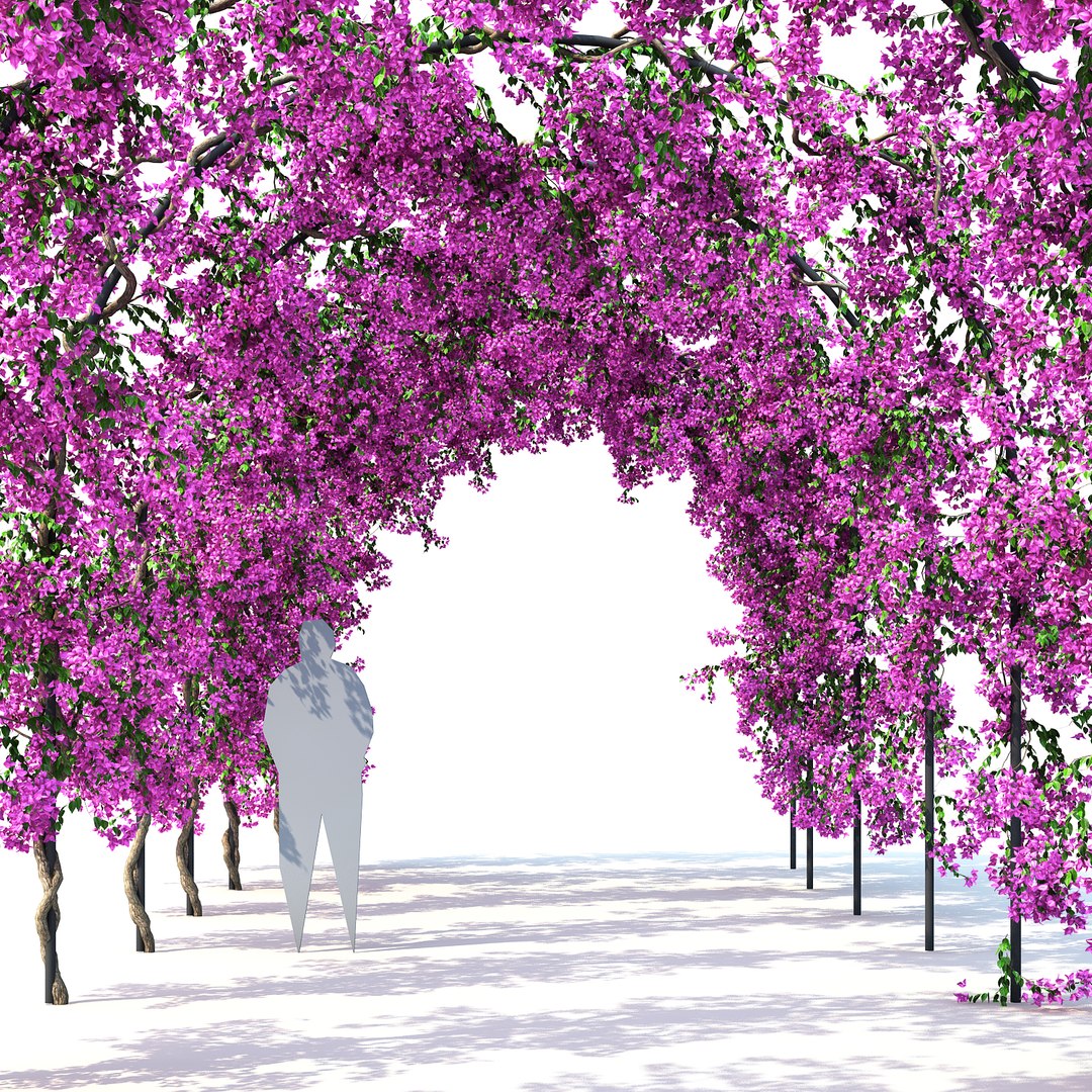 Plant Flower Max