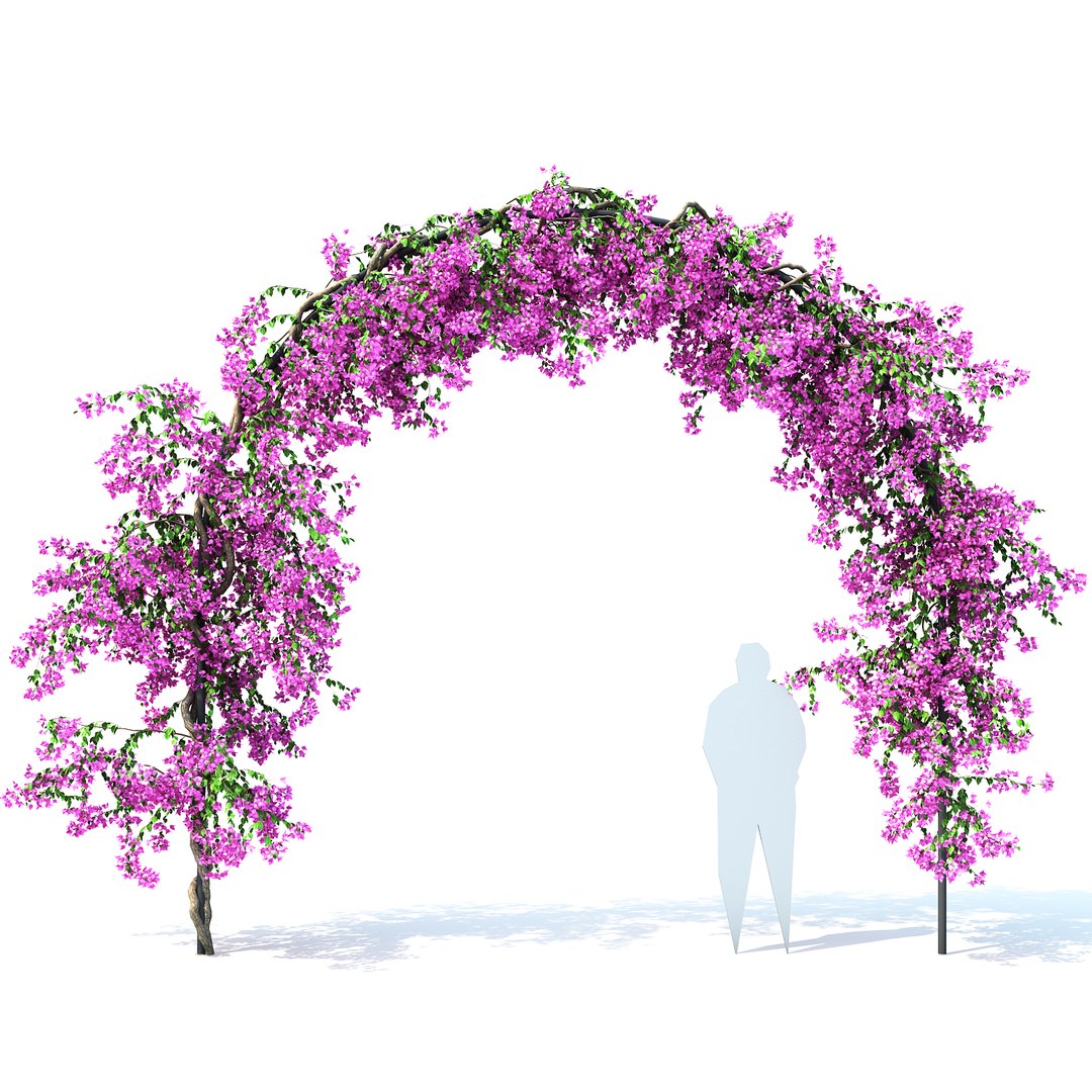 Plant Flower Max