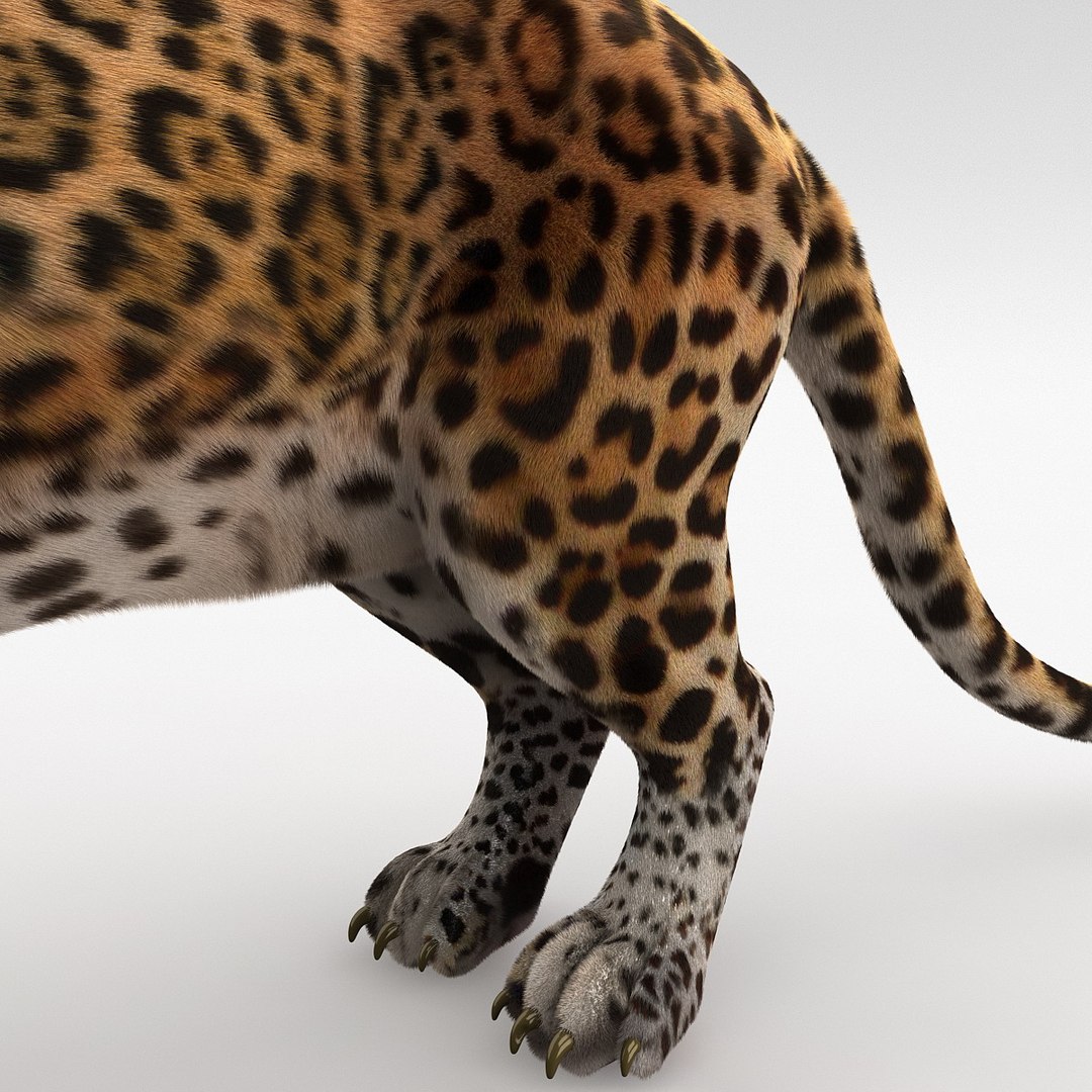 fur jag 3d model