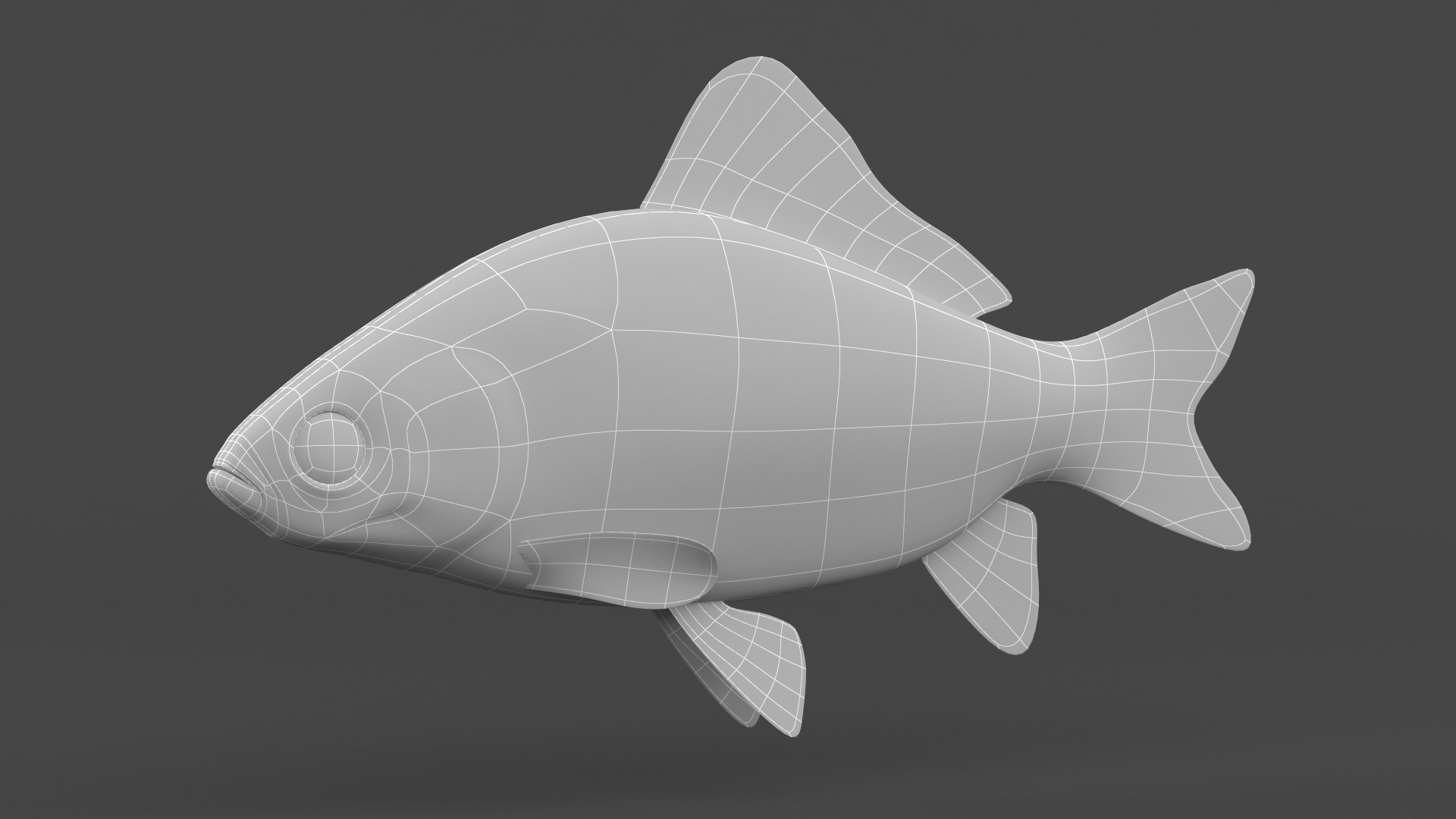 Carp Fish 3D - TurboSquid 2190330