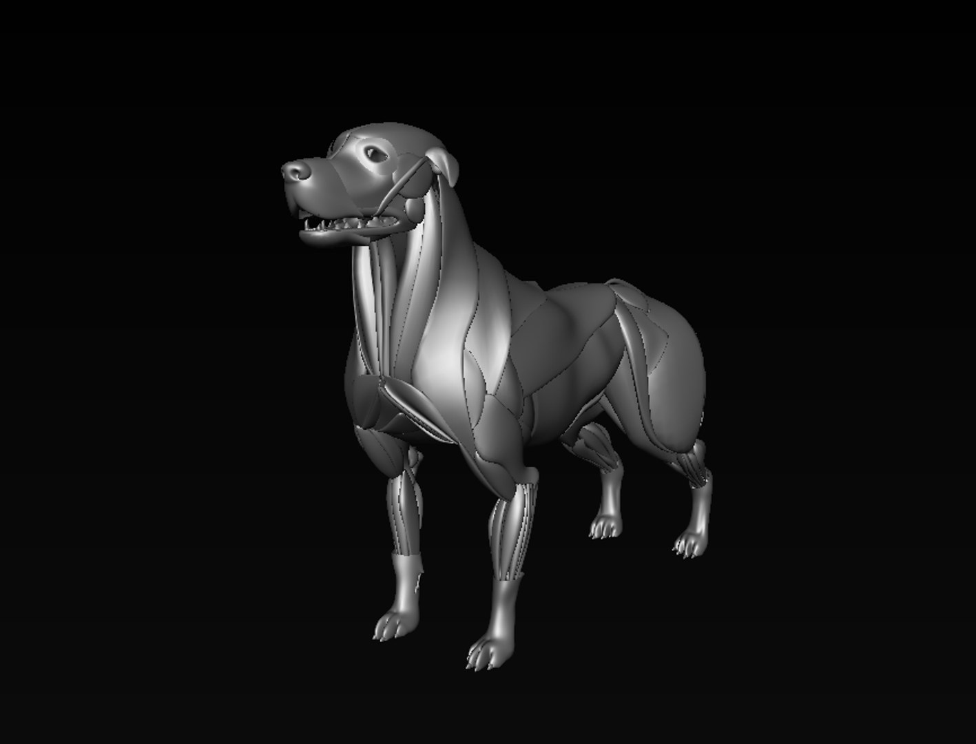 3D Dog Muscle Model - TurboSquid 1215738