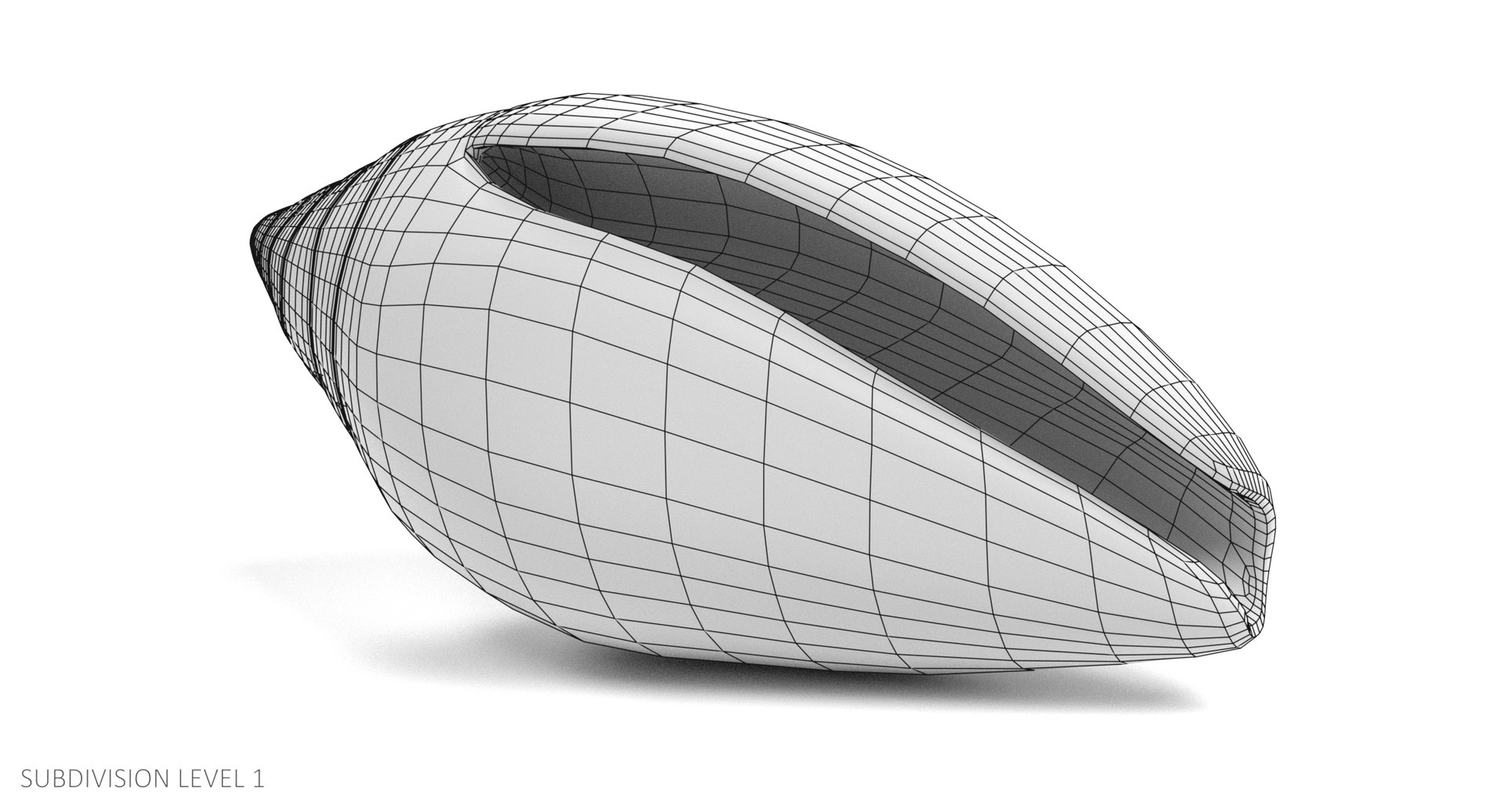 3D Model Seashell 4 - TurboSquid 1253684