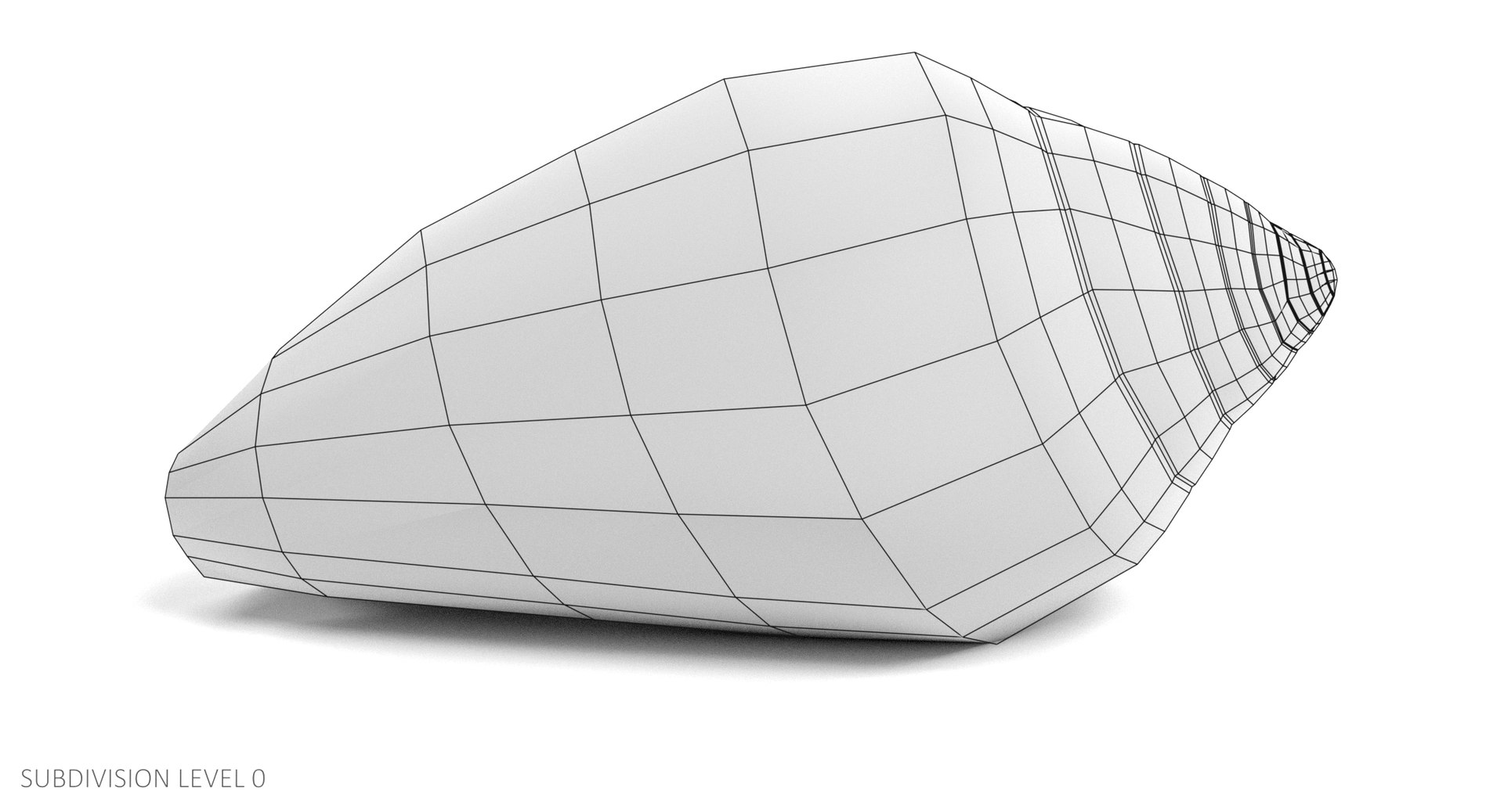 3D Model Seashell 4 - TurboSquid 1253684