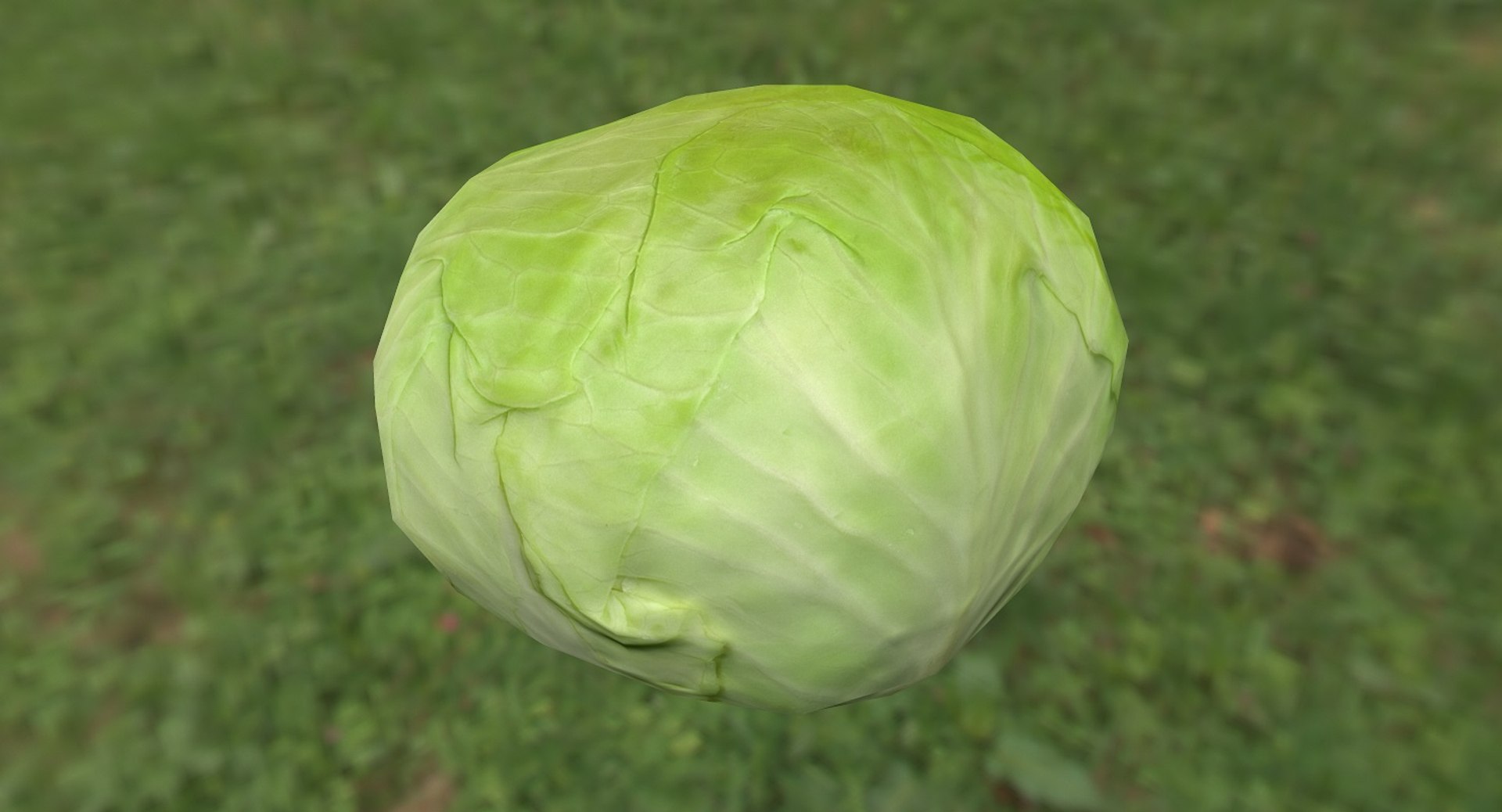 Cabbage - Obj