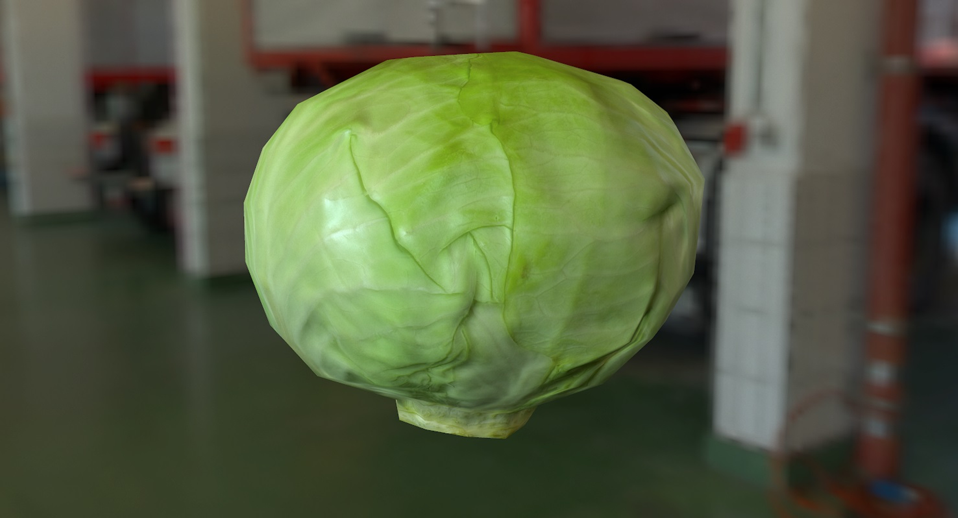 Cabbage - Obj