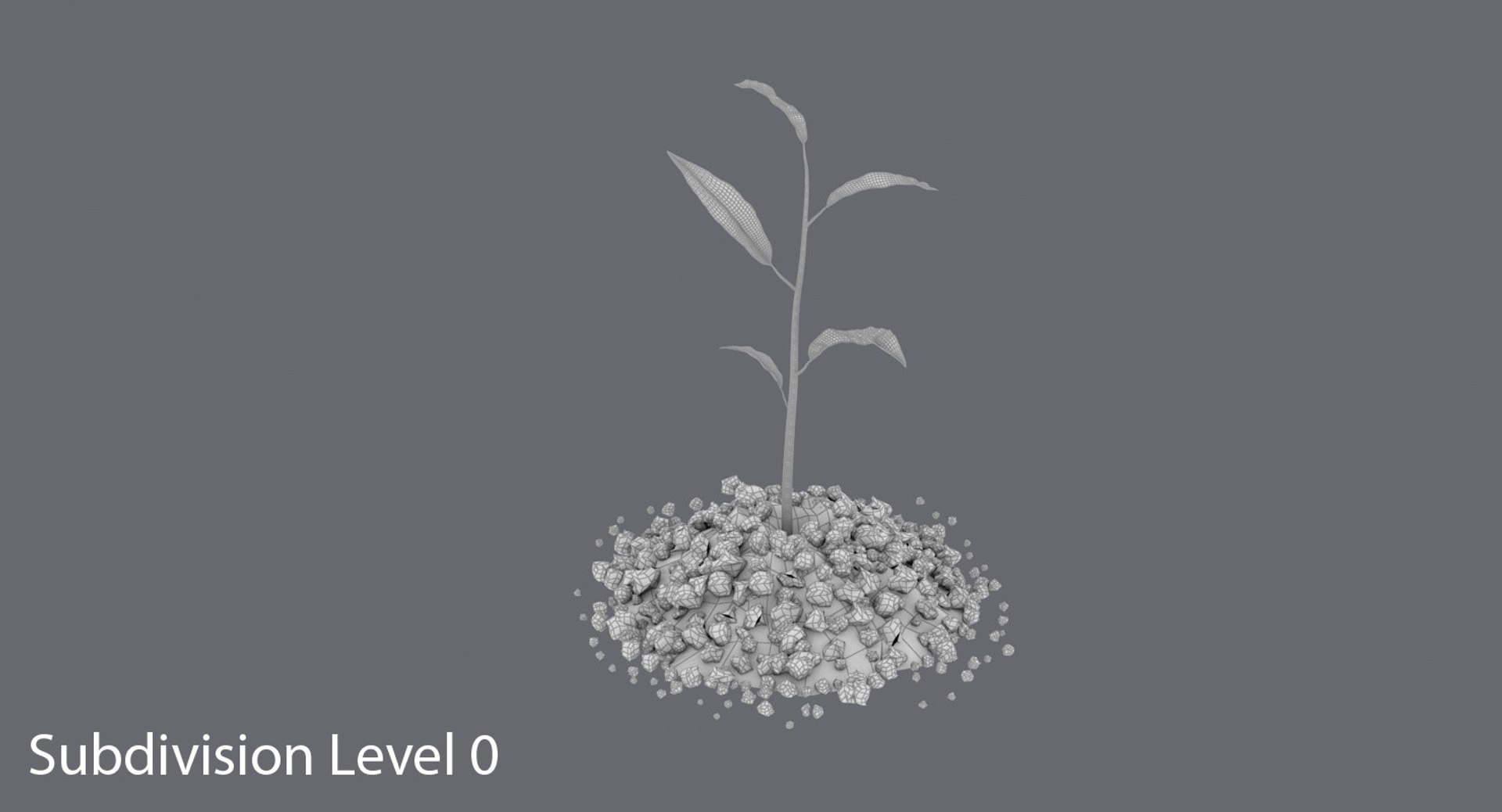 3d Model Small Plant Sprout