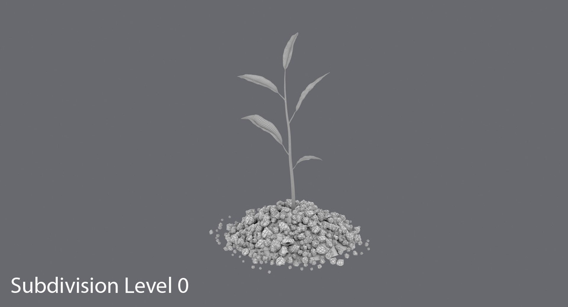 3d Model Small Plant Sprout