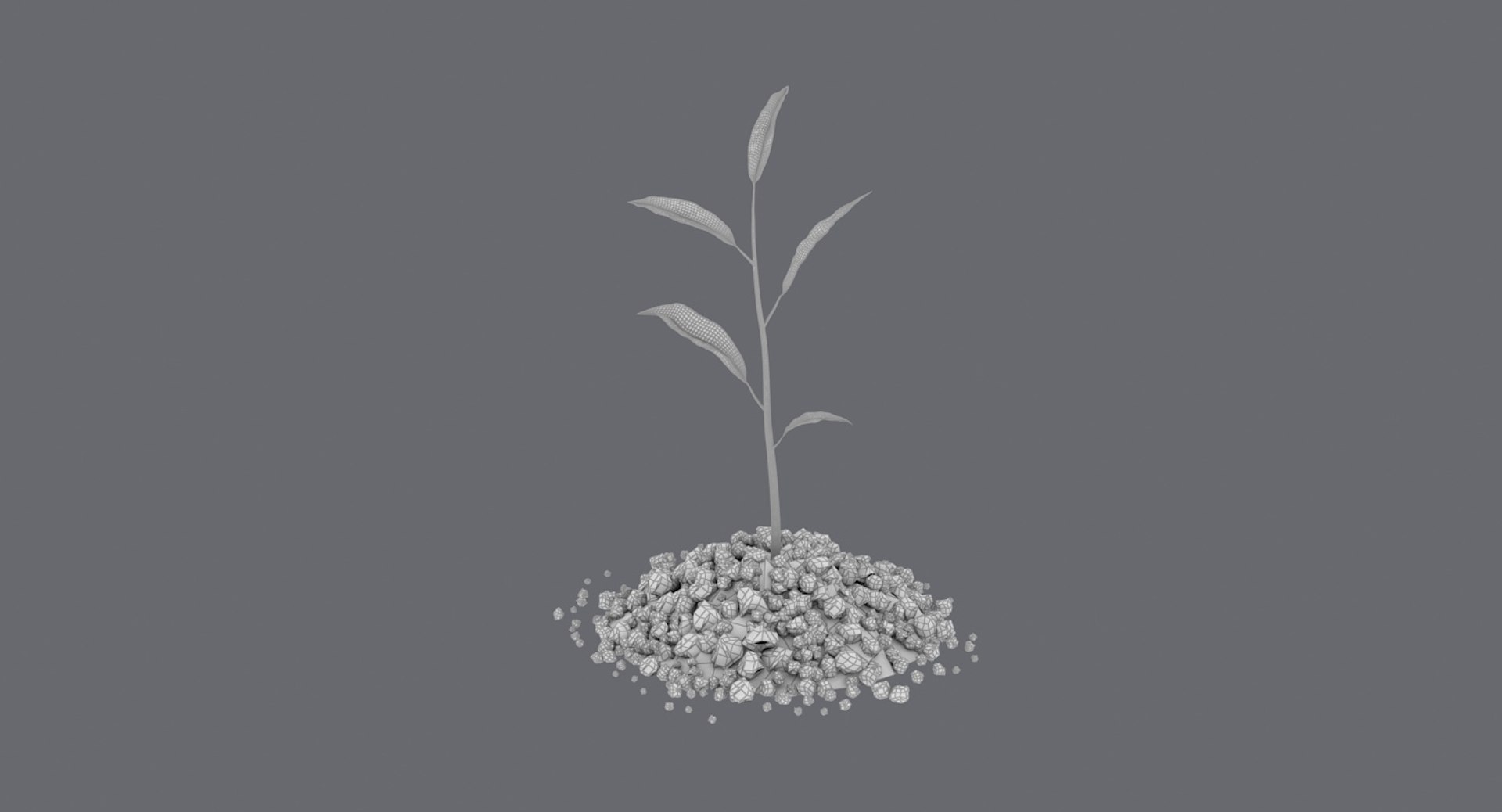 3d Model Small Plant Sprout