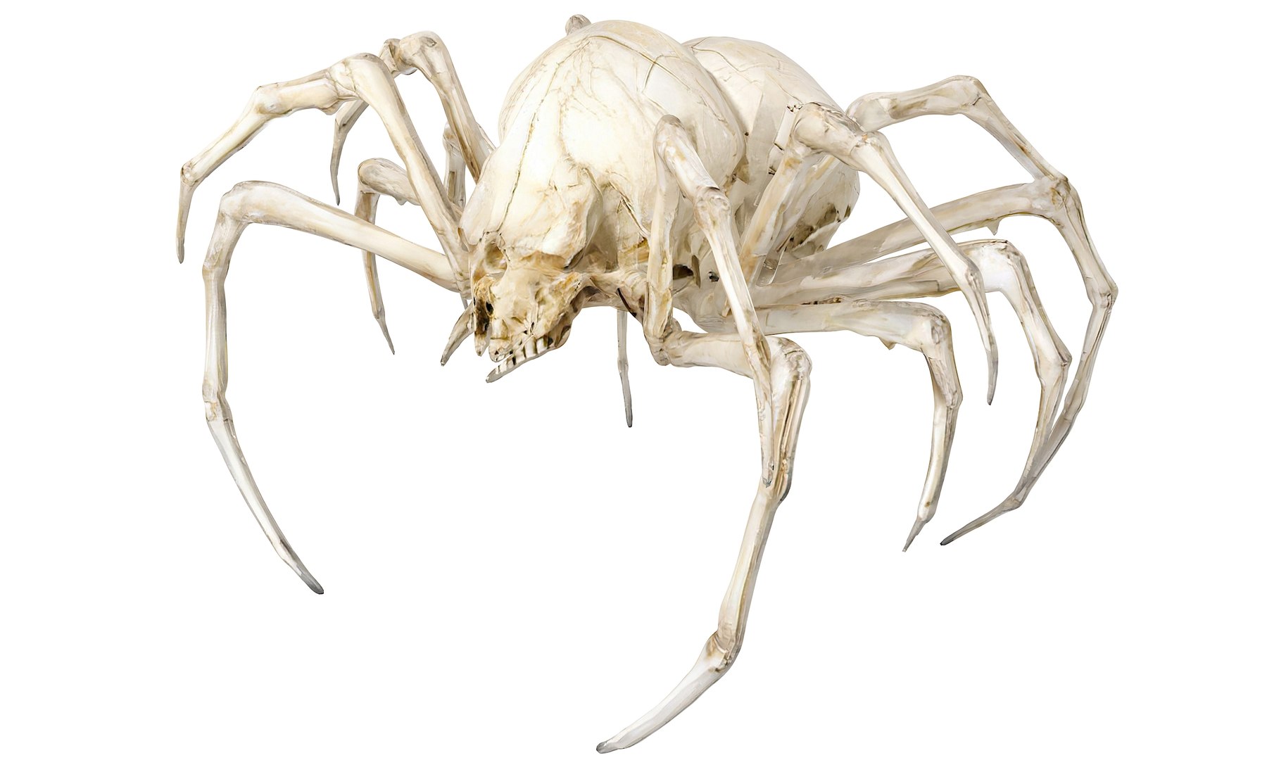 3D Prehistoric Spiders - TurboSquid 2297922