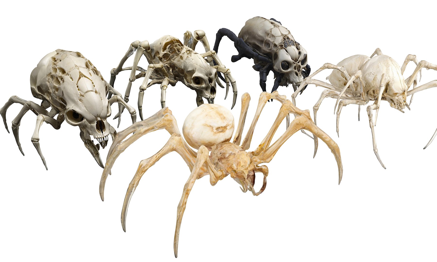 3D Prehistoric Spiders - TurboSquid 2297922
