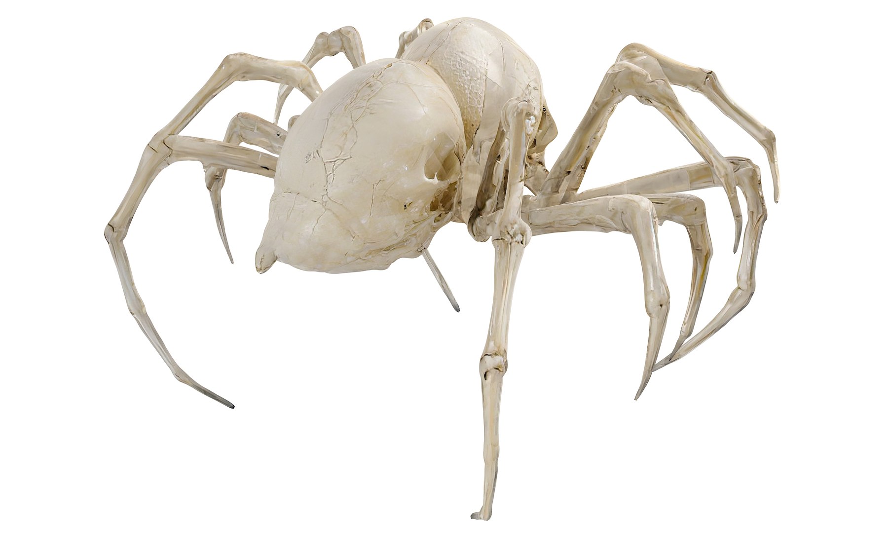 3D Prehistoric Spiders - TurboSquid 2297922