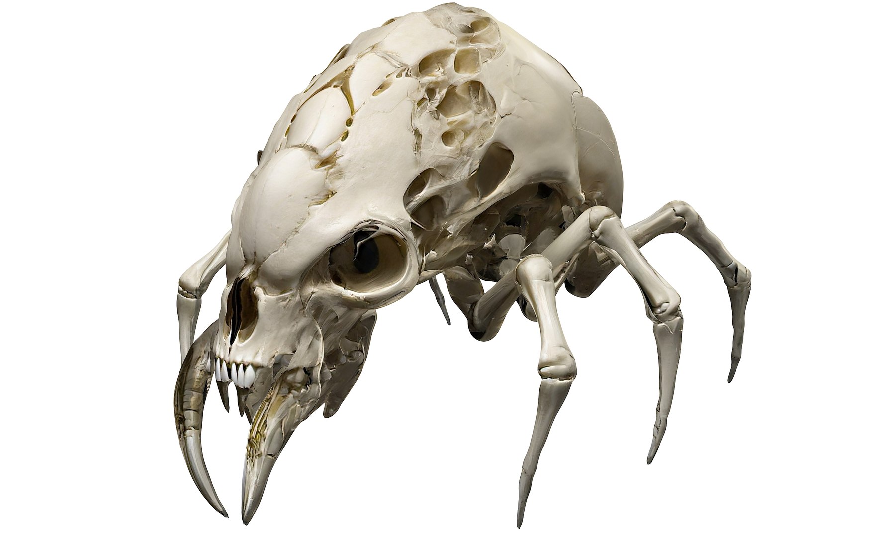 3D Prehistoric Spiders - TurboSquid 2297922