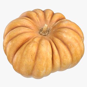 3D Model Pumkins Collection 08 - 10 Models - TurboSquid 1808268