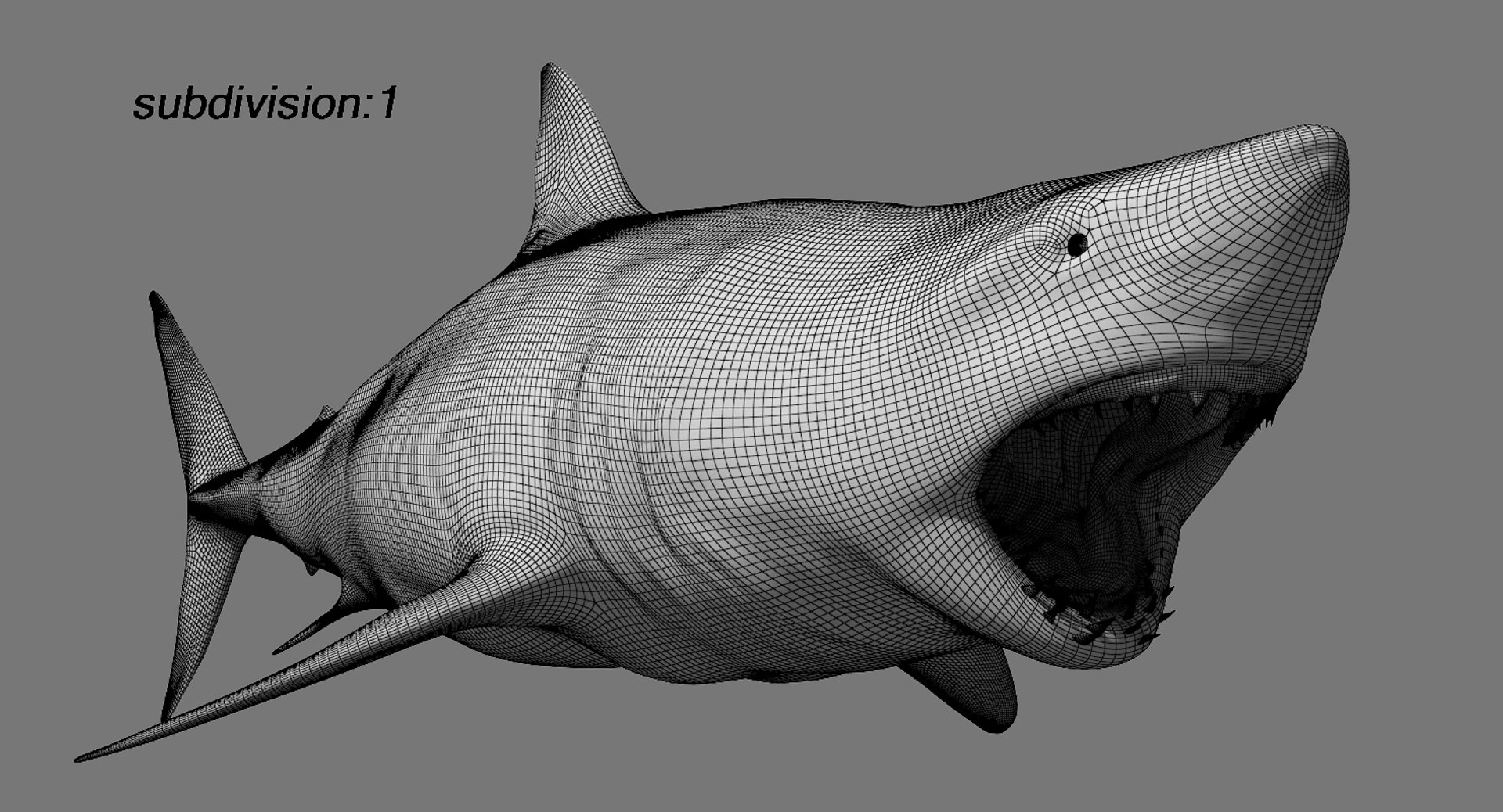 3d model of realistic shark rigged
