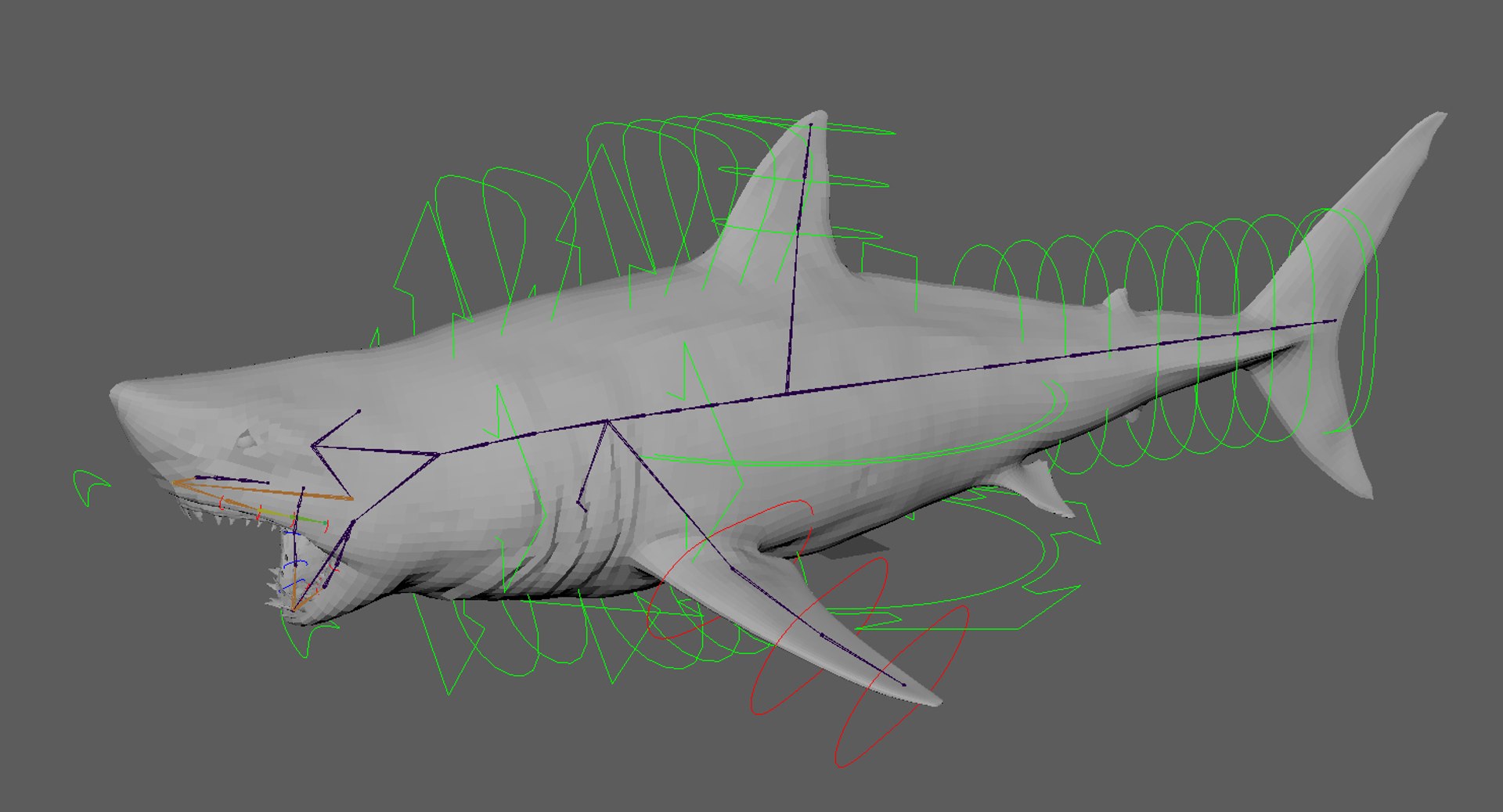 3d model of realistic shark rigged