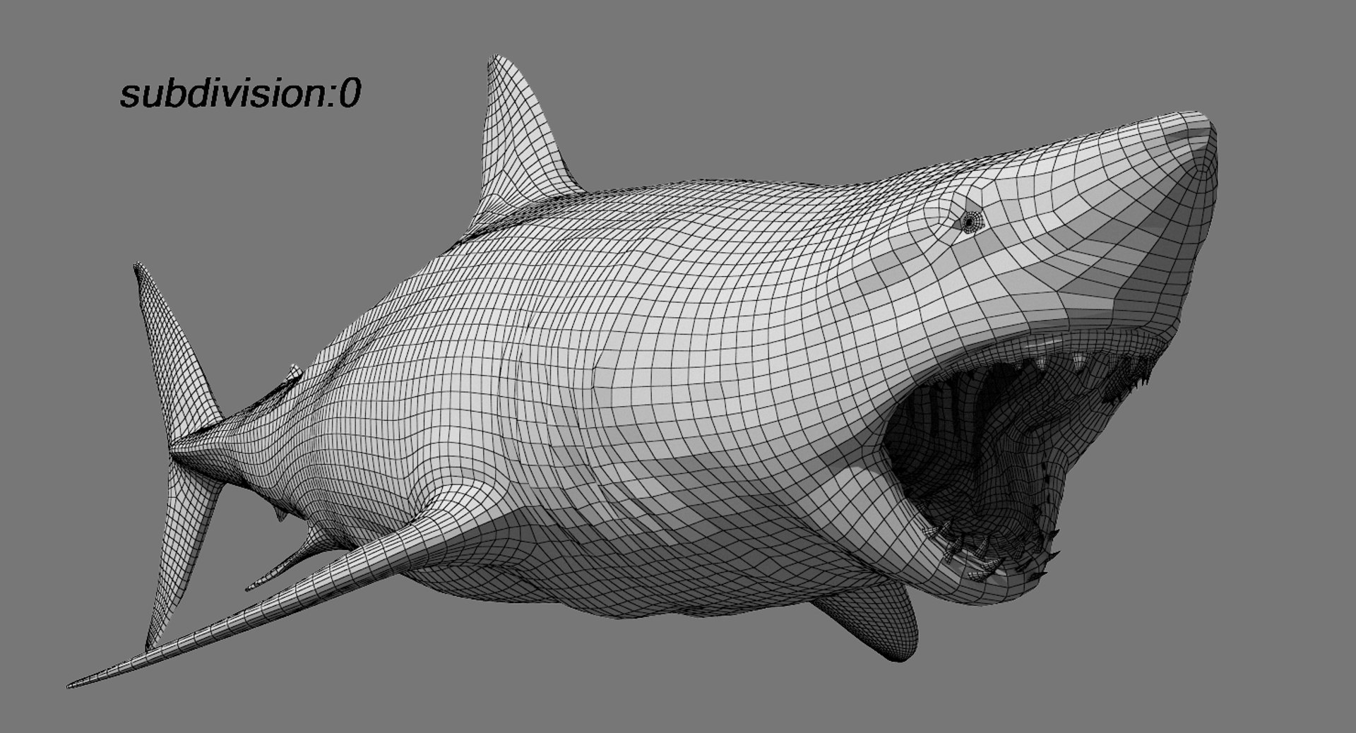 3d model of realistic shark rigged
