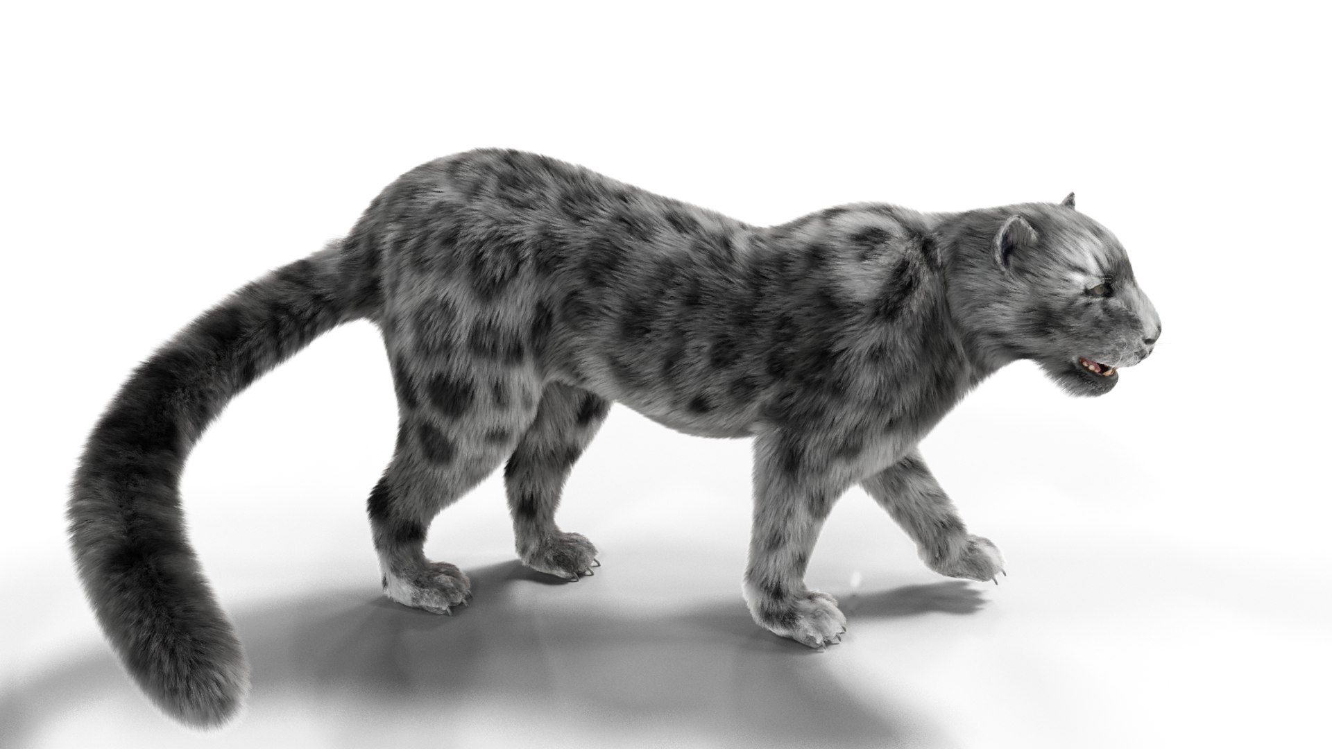 Realistic Fur Leopard Rigged 3D Model - TurboSquid 1724893