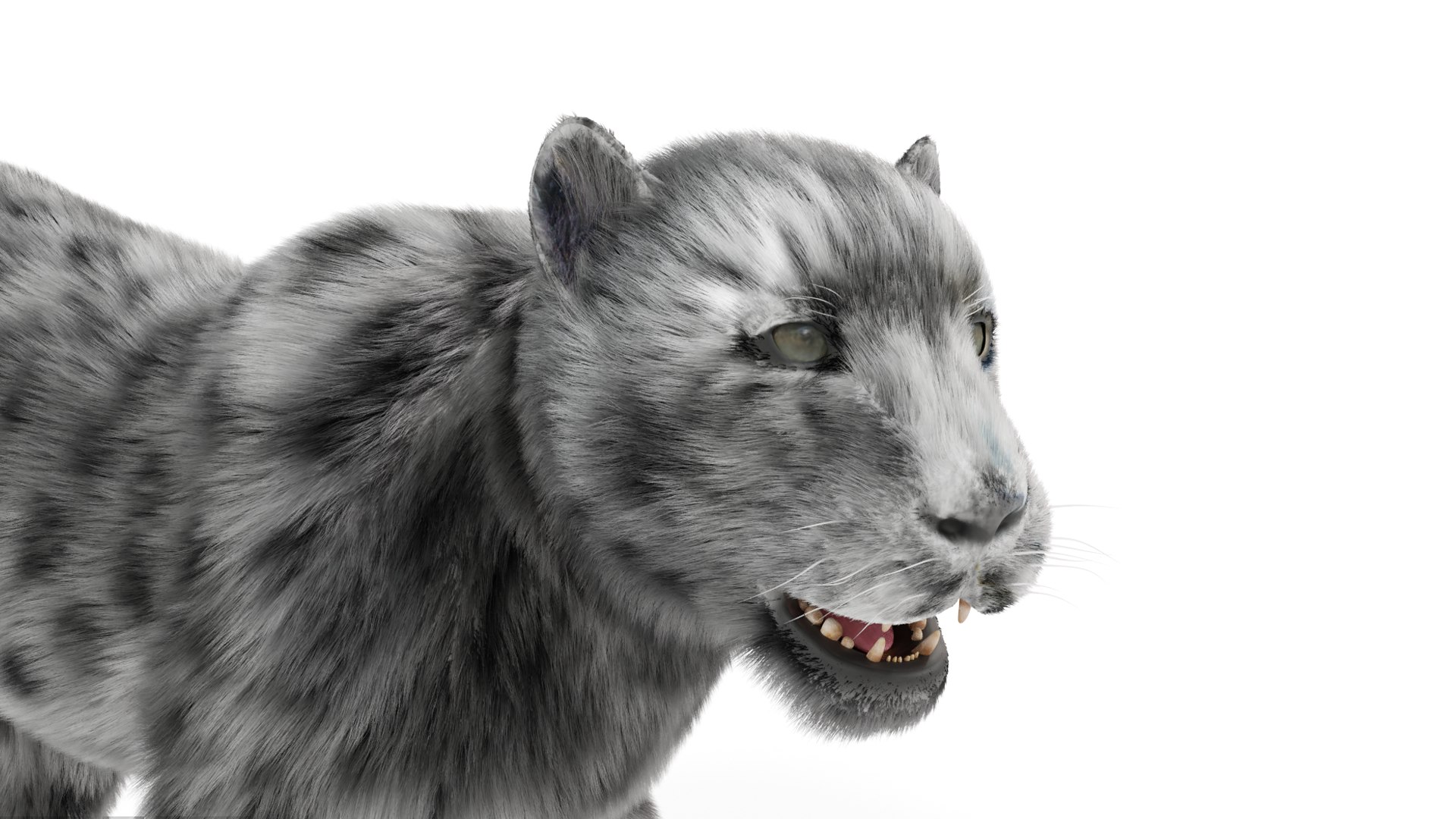Realistic Fur Leopard Rigged 3D Model - TurboSquid 1724893