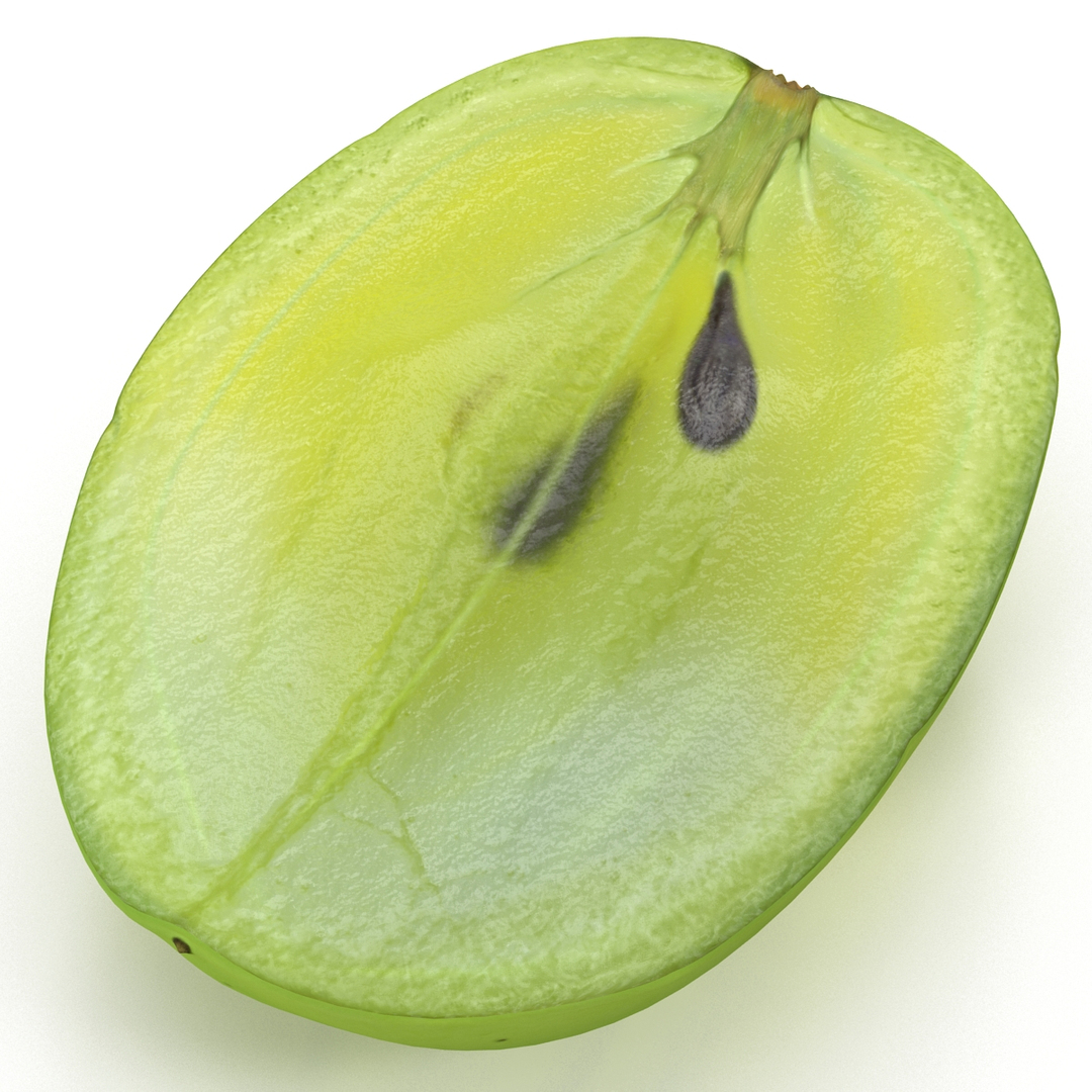 3d green grape cross section model