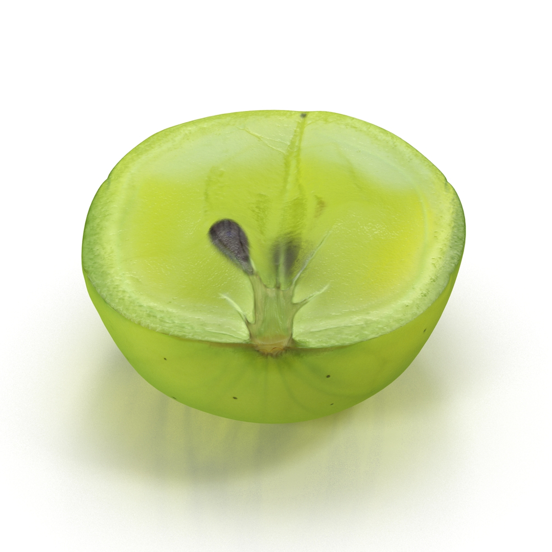 3d Green Grape Cross Section Model