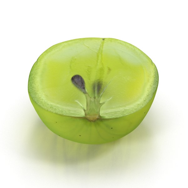 3d green grape cross section model