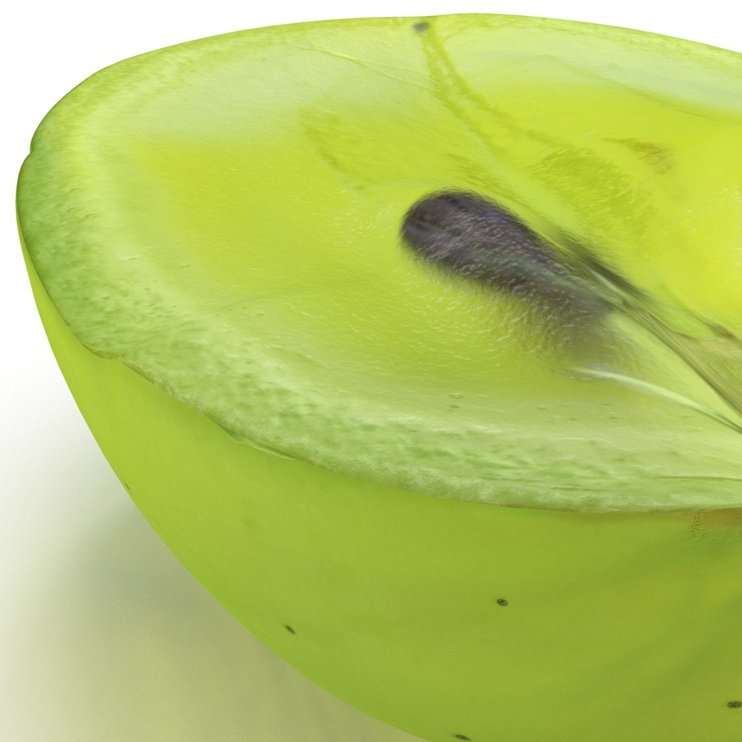 3d green grape cross section model
