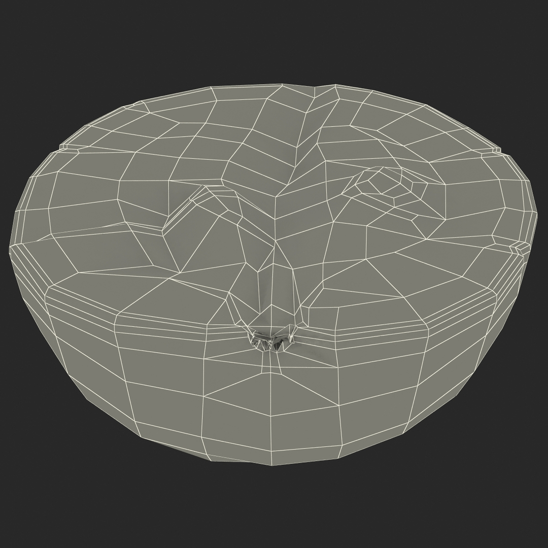 3d green grape cross section model