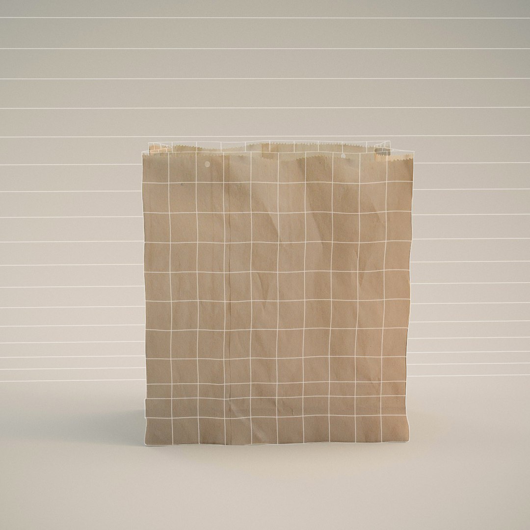 3d brown paper bag
