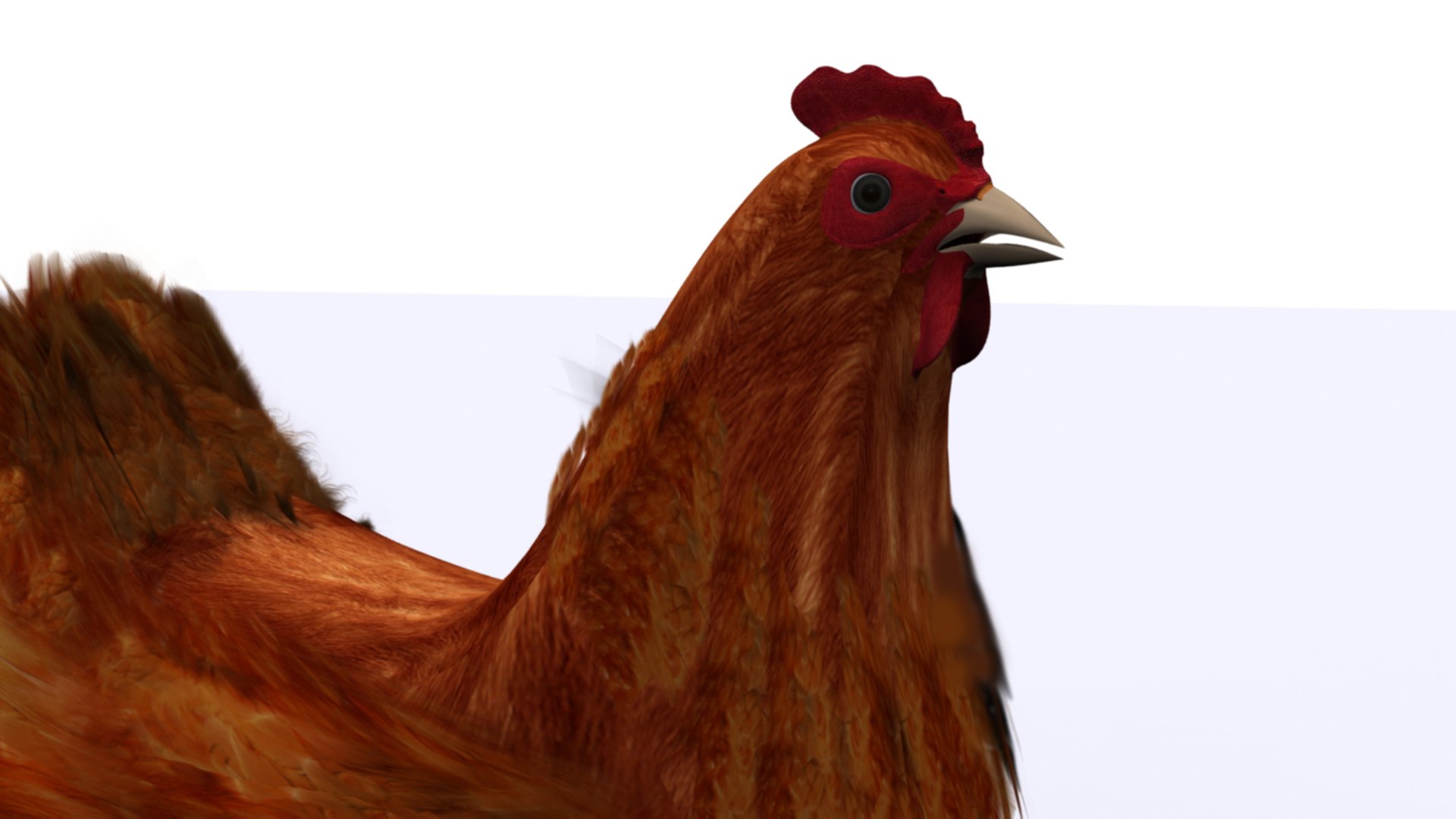 Brown Hen Model - TurboSquid 2033927