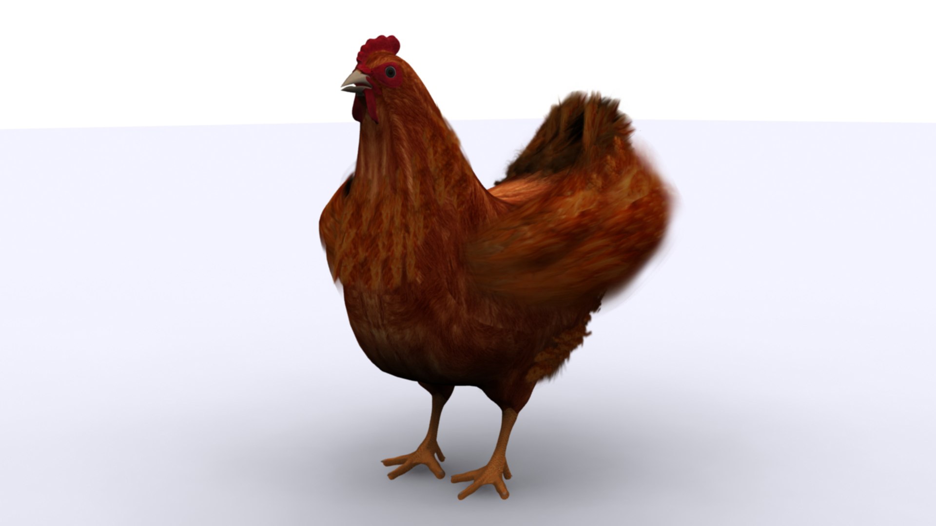 Brown Hen Model - TurboSquid 2033927