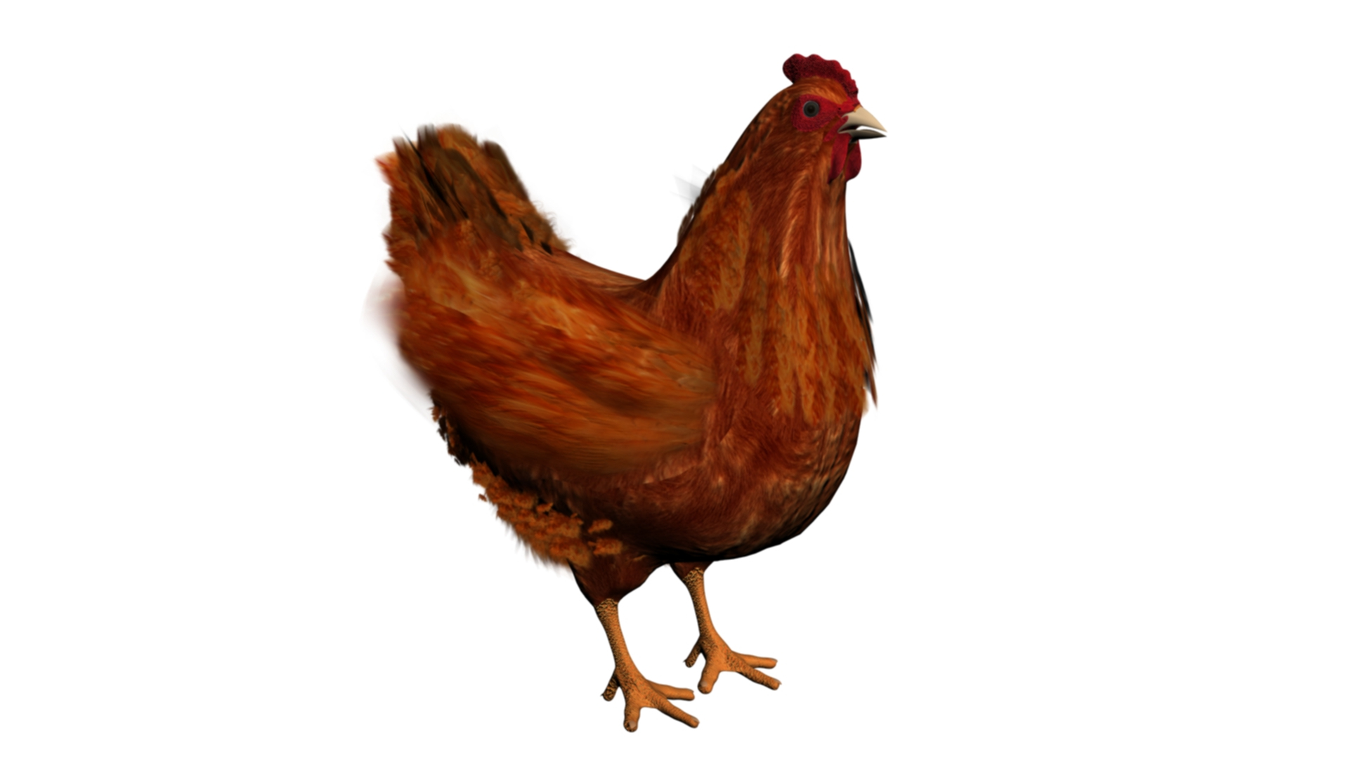 Brown Hen Model - TurboSquid 2033927