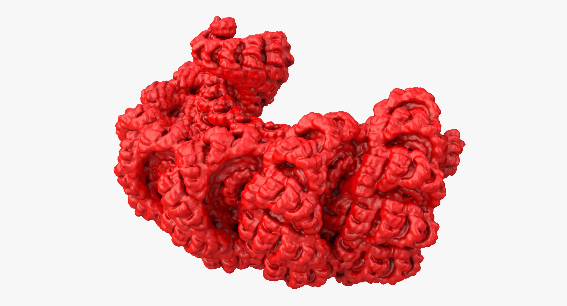 3D Fractal5 - TurboSquid 1865074