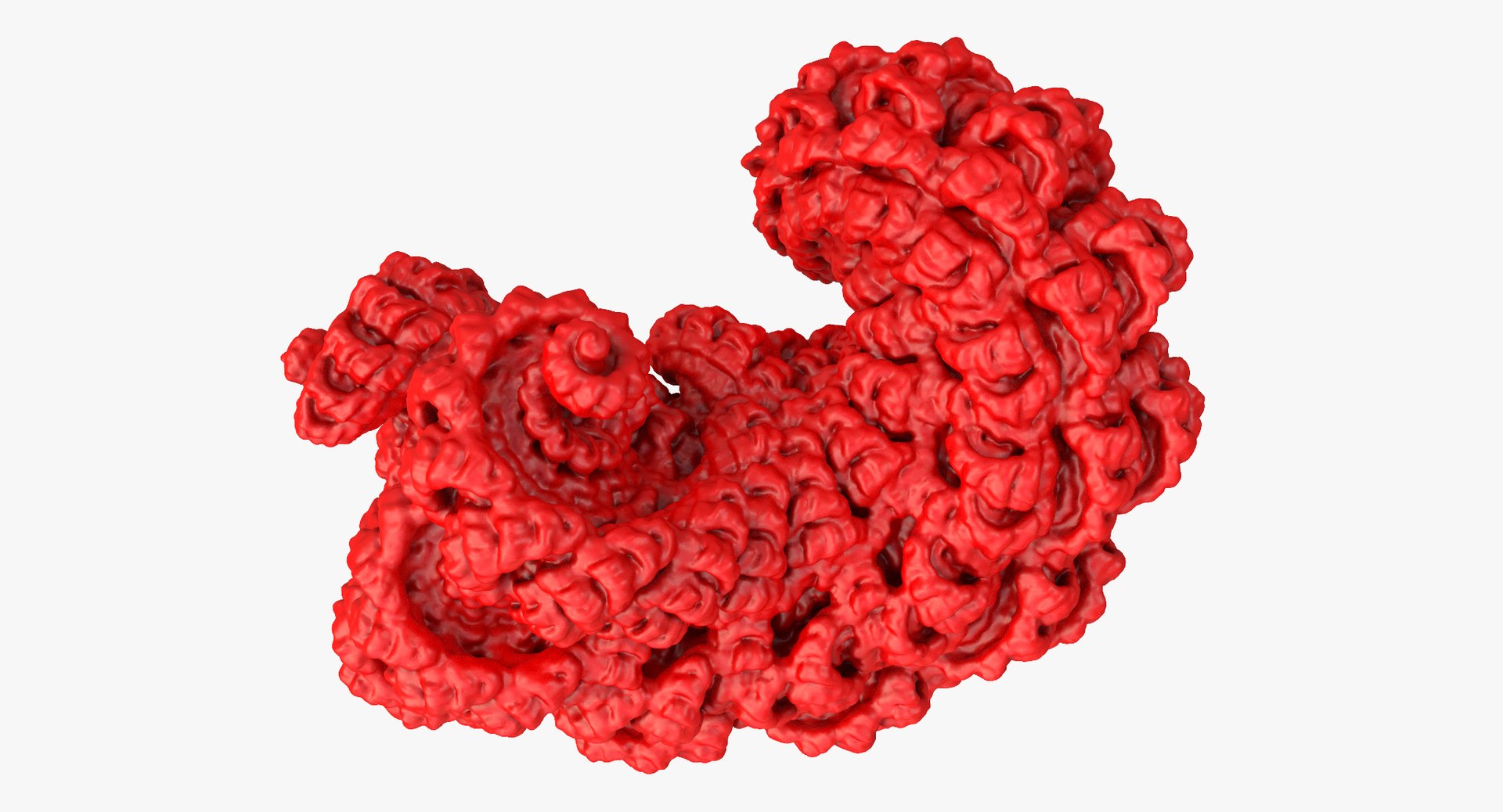 3D Fractal5 - TurboSquid 1865074