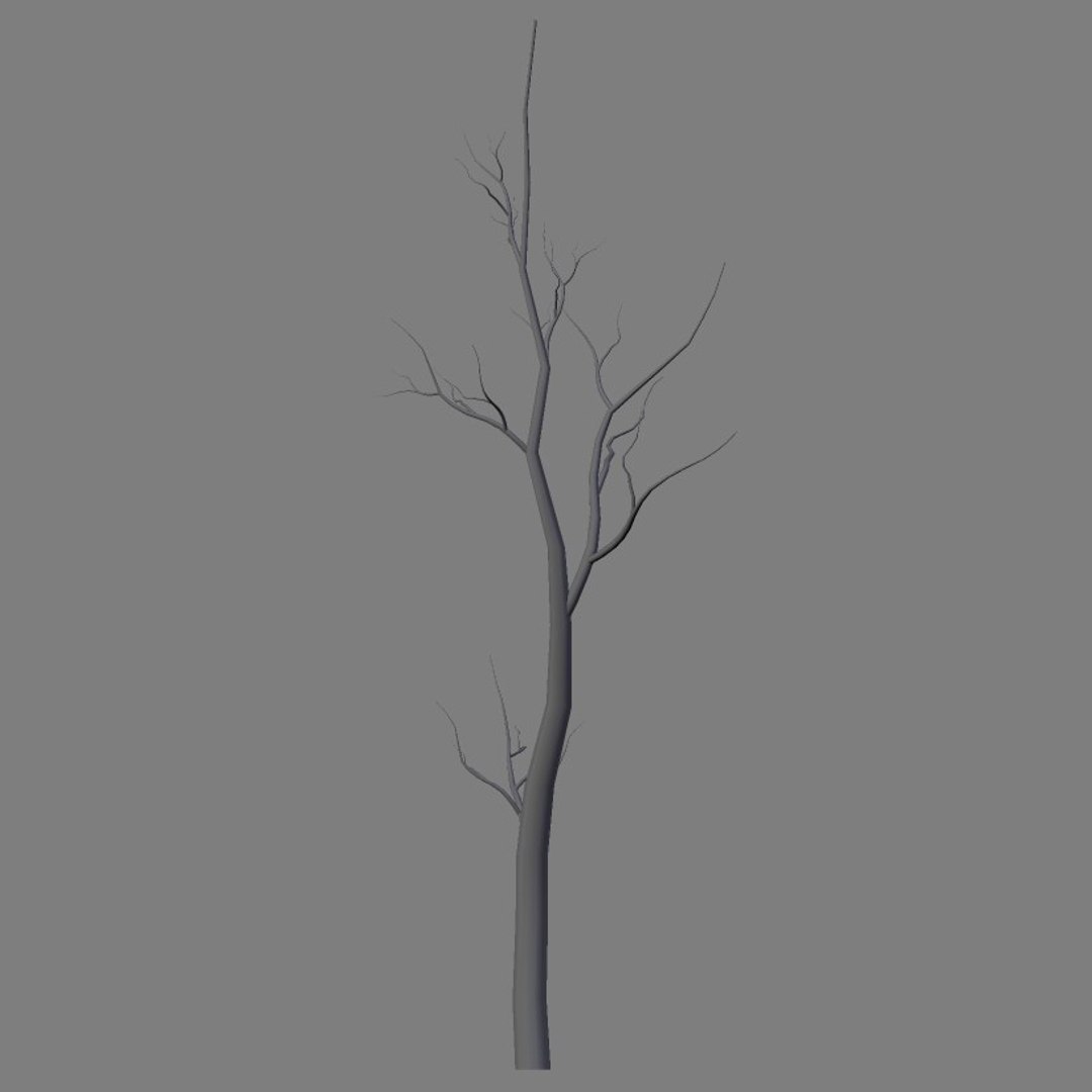 Blender Winter Tree