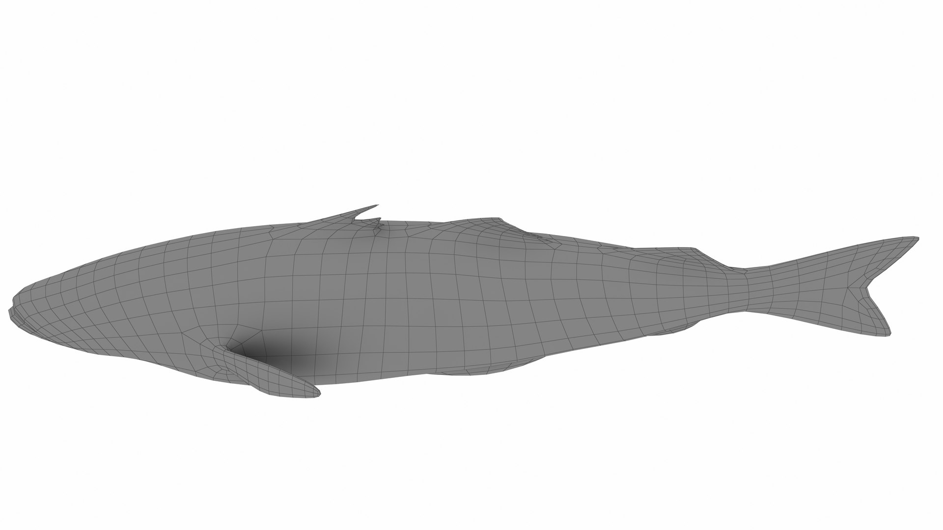 3D Model Pollock Fish - TurboSquid 2380389