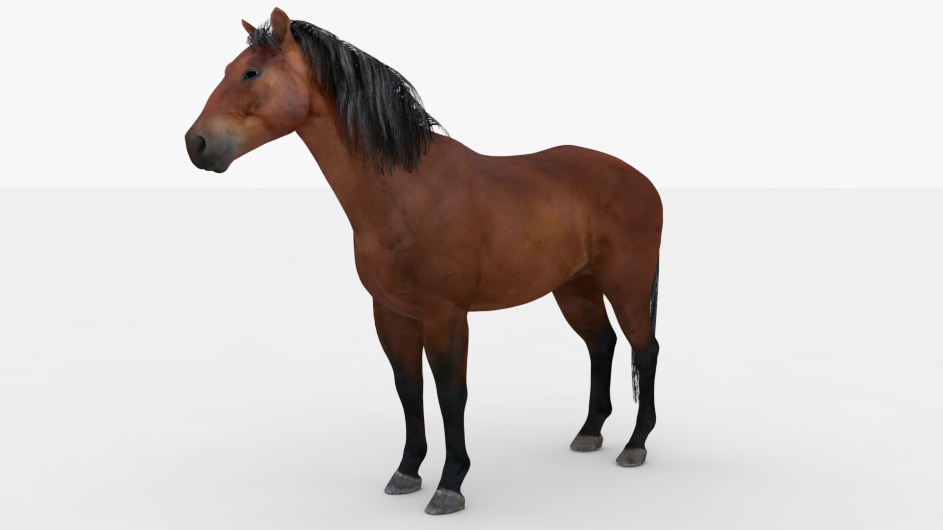 3D Realistic Horse Model - TurboSquid 2348752