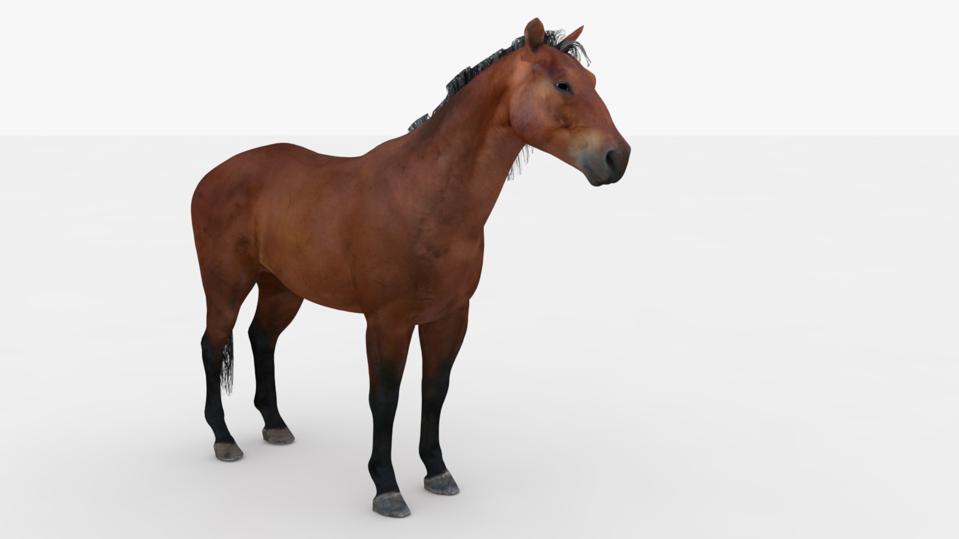 3D Realistic Horse Model - TurboSquid 2348752