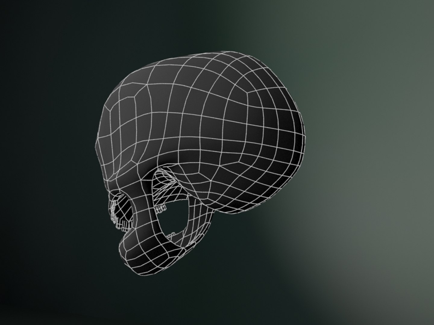 3d Model Simple Skull