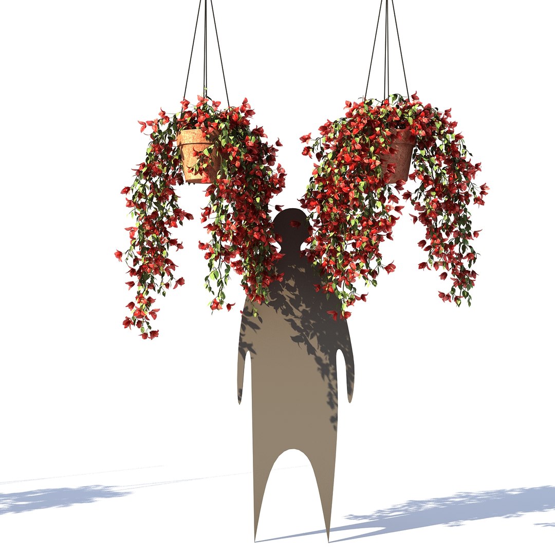Plant Hanging 3D Model - TurboSquid 1443646