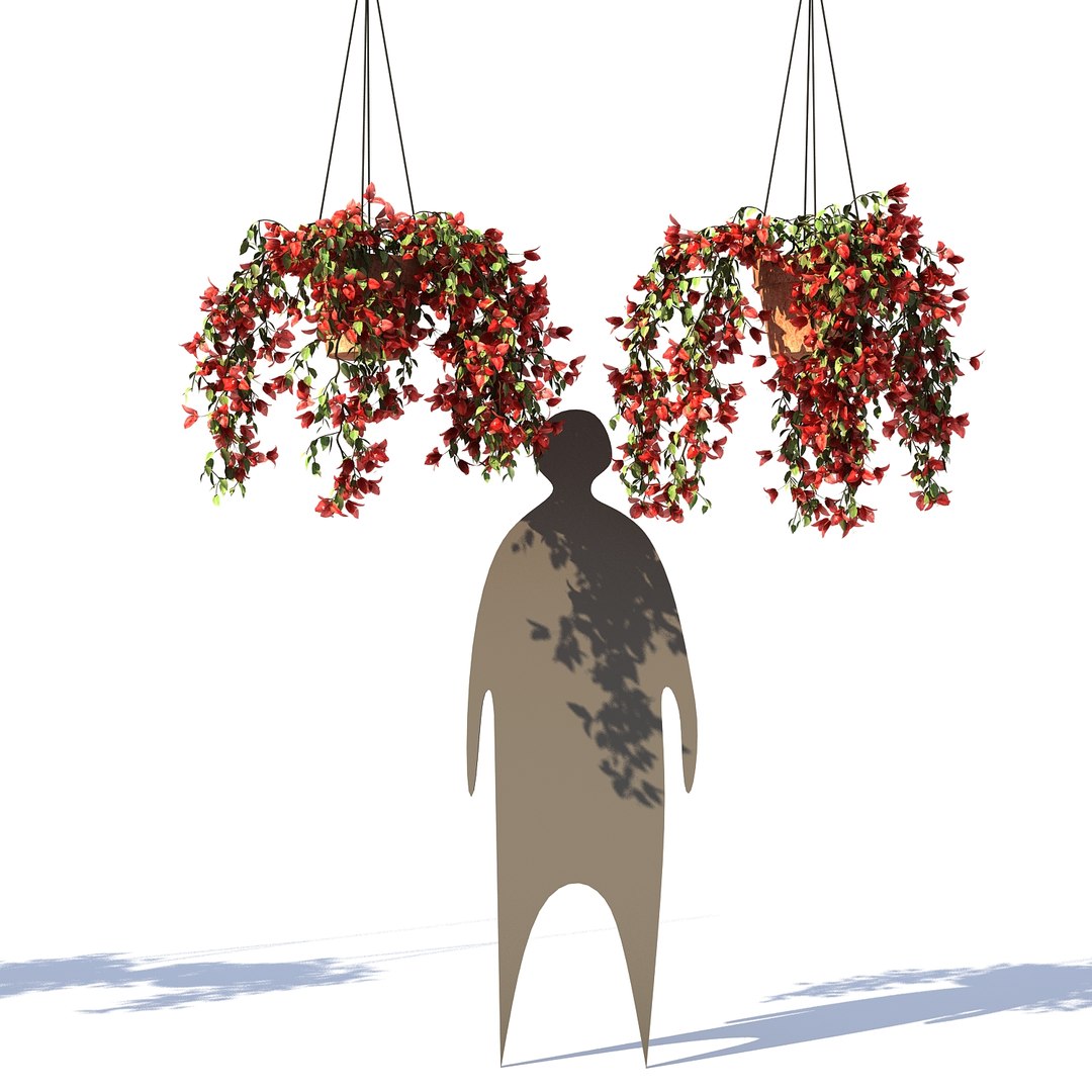 Plant Hanging 3D Model - TurboSquid 1443646